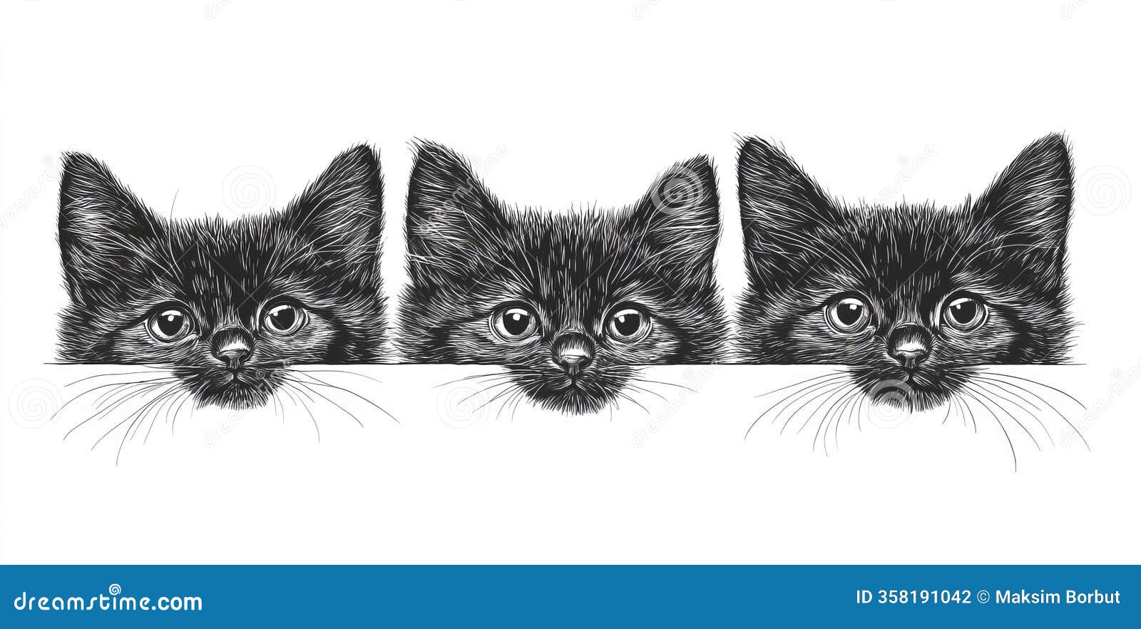 Hand-drawn Graphic of Three Cats Looking Horizontally at a Horizontal ...