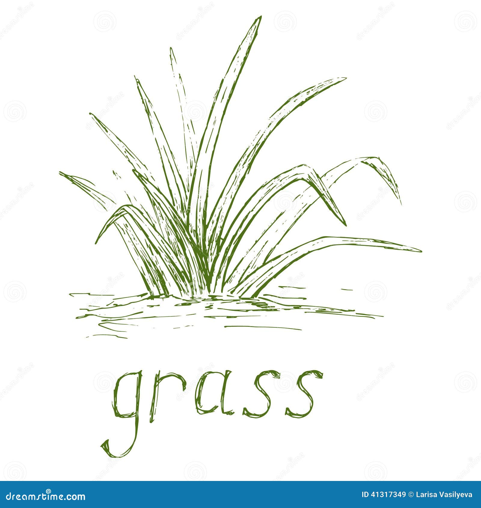 Hand Drawn Grass Illustration. Stock Vector - Illustration of plant ...