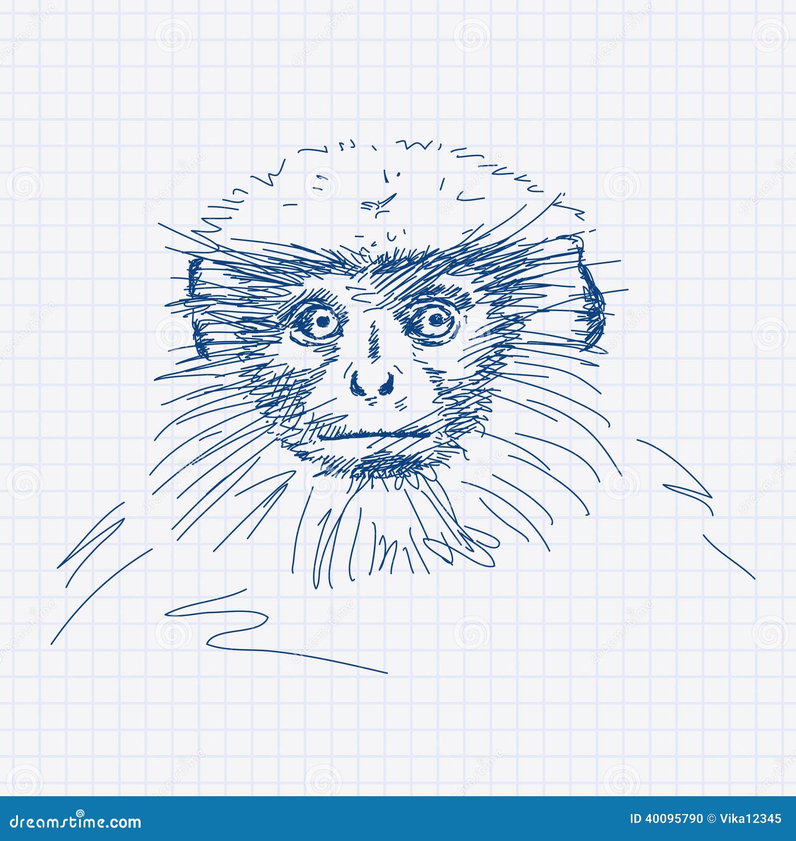 Hand drawn Gray langur stock vector. Illustration of hanuman - 40095790