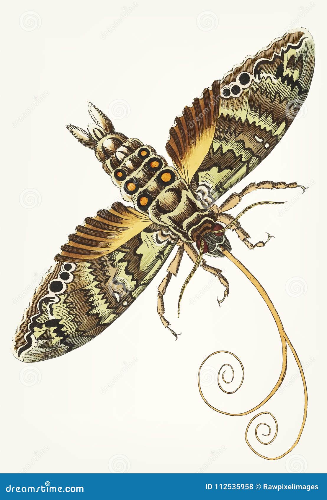 Sphinx And Flying Pyramids Royalty-Free Stock Photo | CartoonDealer.com ...