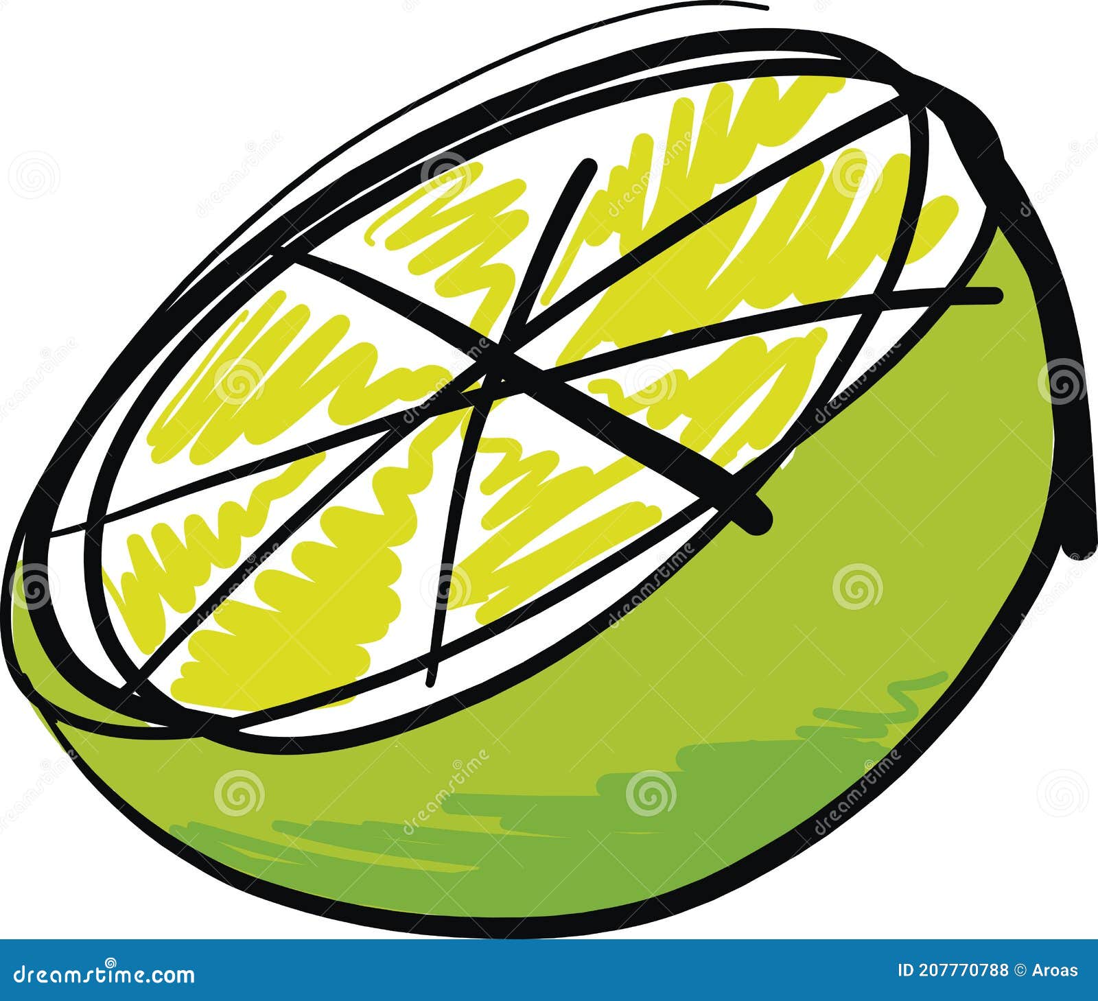Hand Drawn Green Lemon Fruit Stock Vector - Illustration of closeup ...