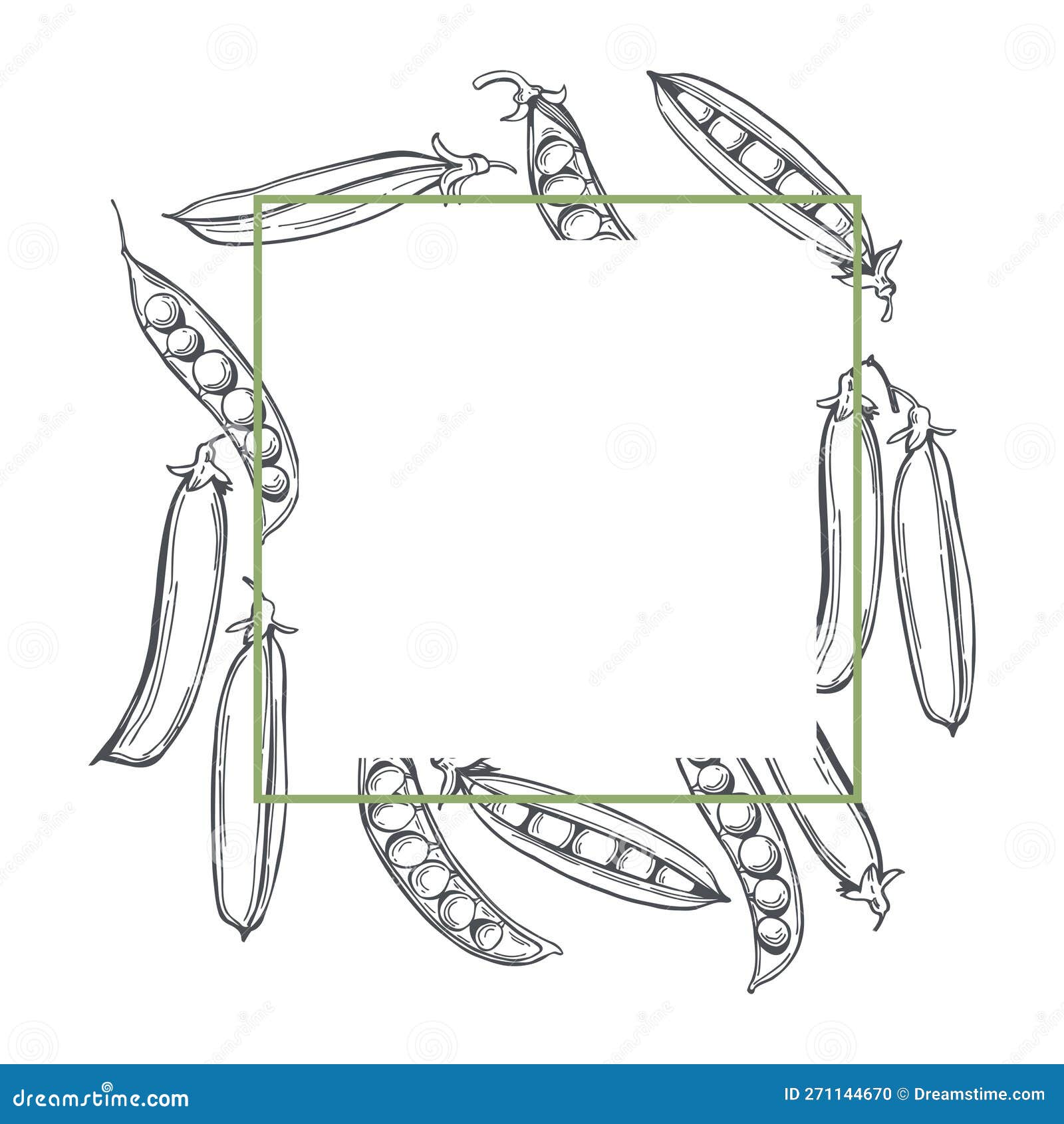 Green Peas in Pods. Vector Frame Stock Vector - Illustration of food ...