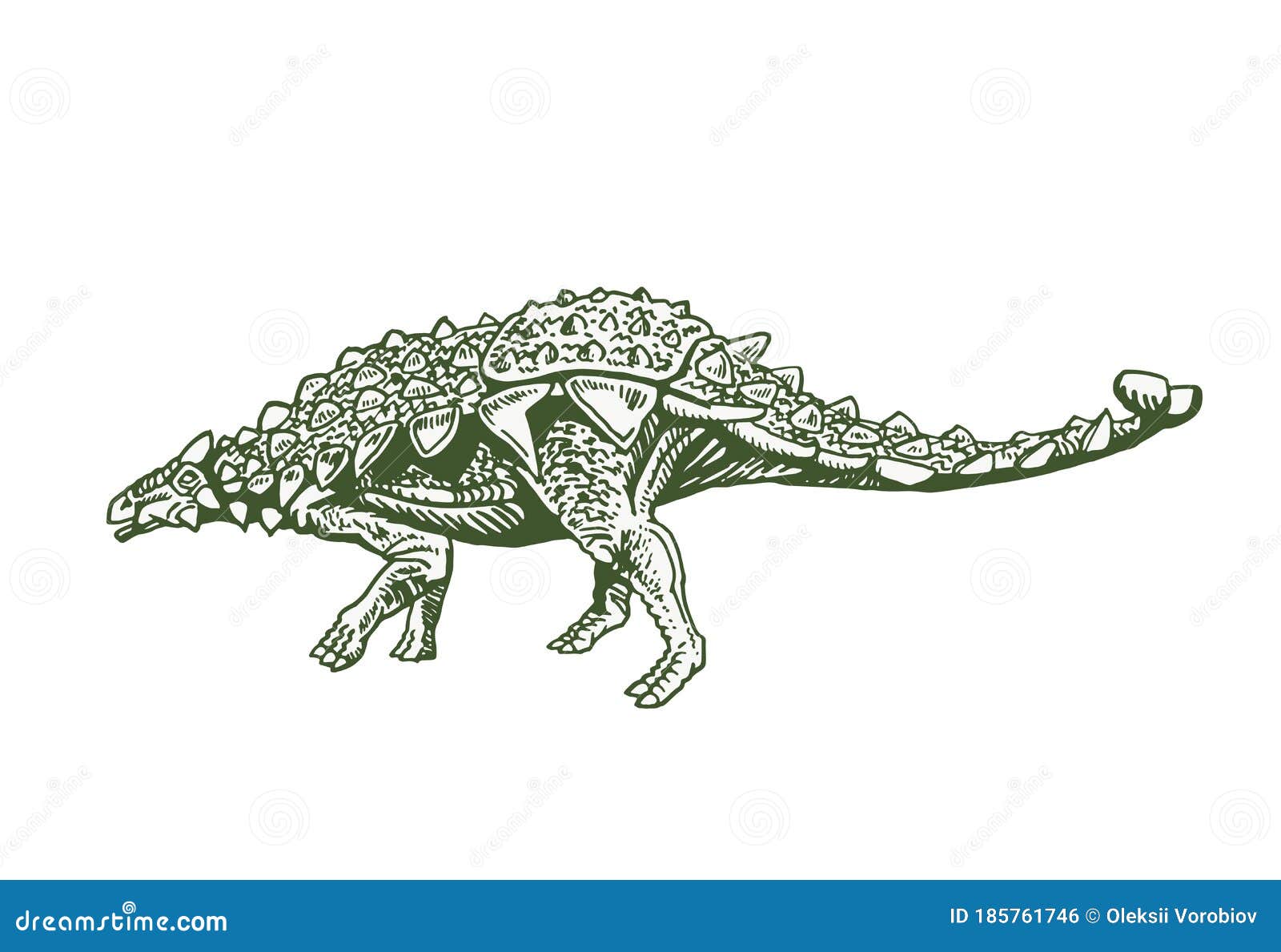 Graphical Green Silvisaurus Isolated on White Background, Vector Color ...