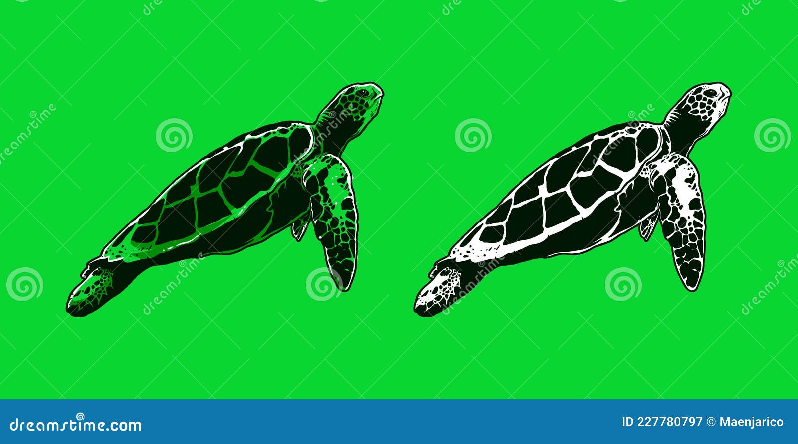 Hand-drawn Green Turtle Vector Illustration Stock Vector - Illustration ...