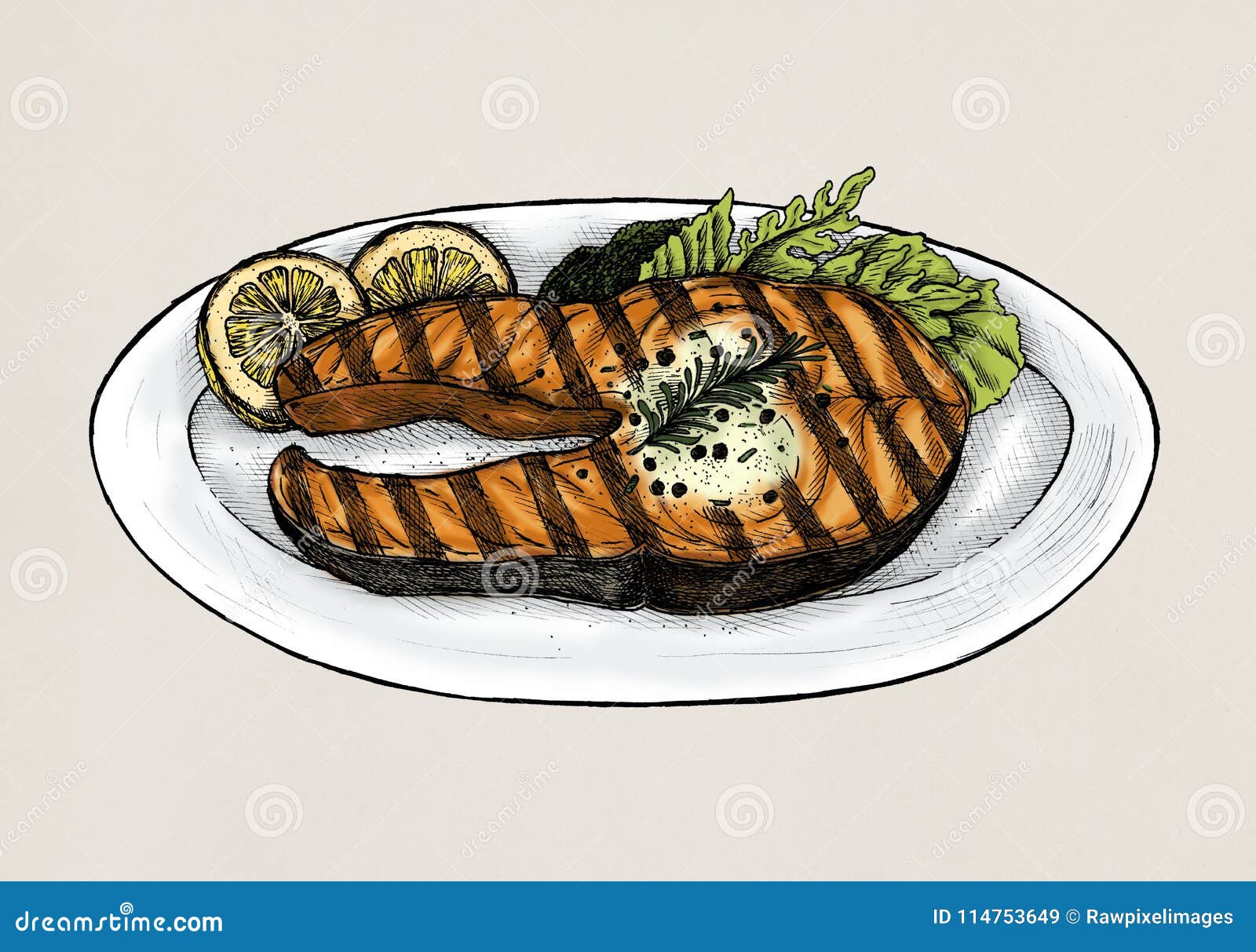 Fish Steak Fillet Seafood Meal Grilling Drawing Illustration Salmon ...