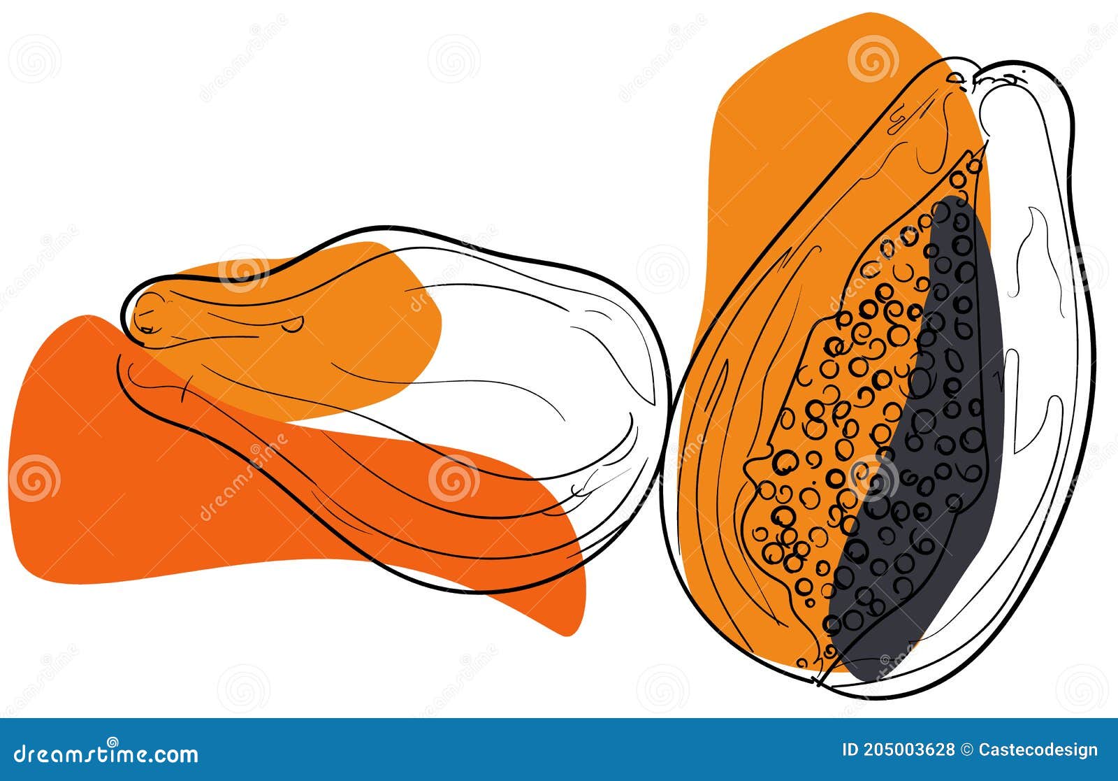 Hand Drawn Halved and Whole Papaya Fruit with Orange Color Scheme Stock ...