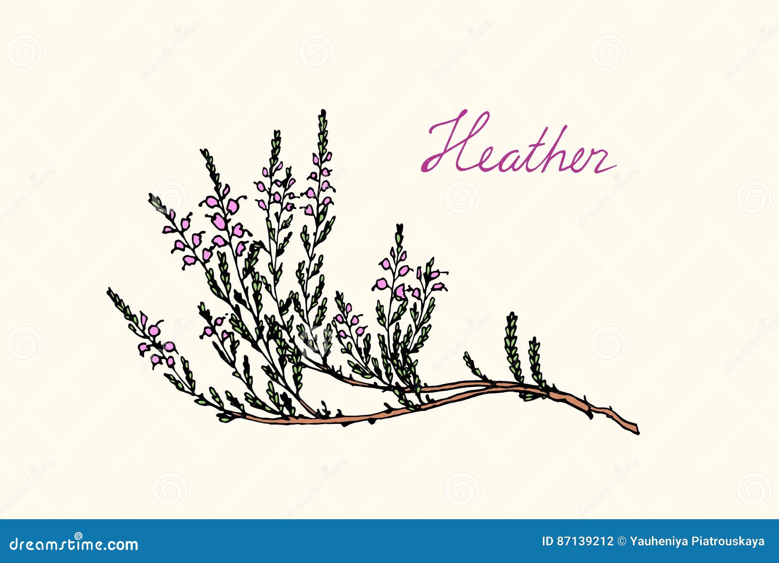 Heather Cartoons, Illustrations & Vector Stock Images - 11463 Pictures ...
