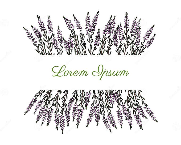 Hand drawn heather card stock vector. Illustration of card - 87139704