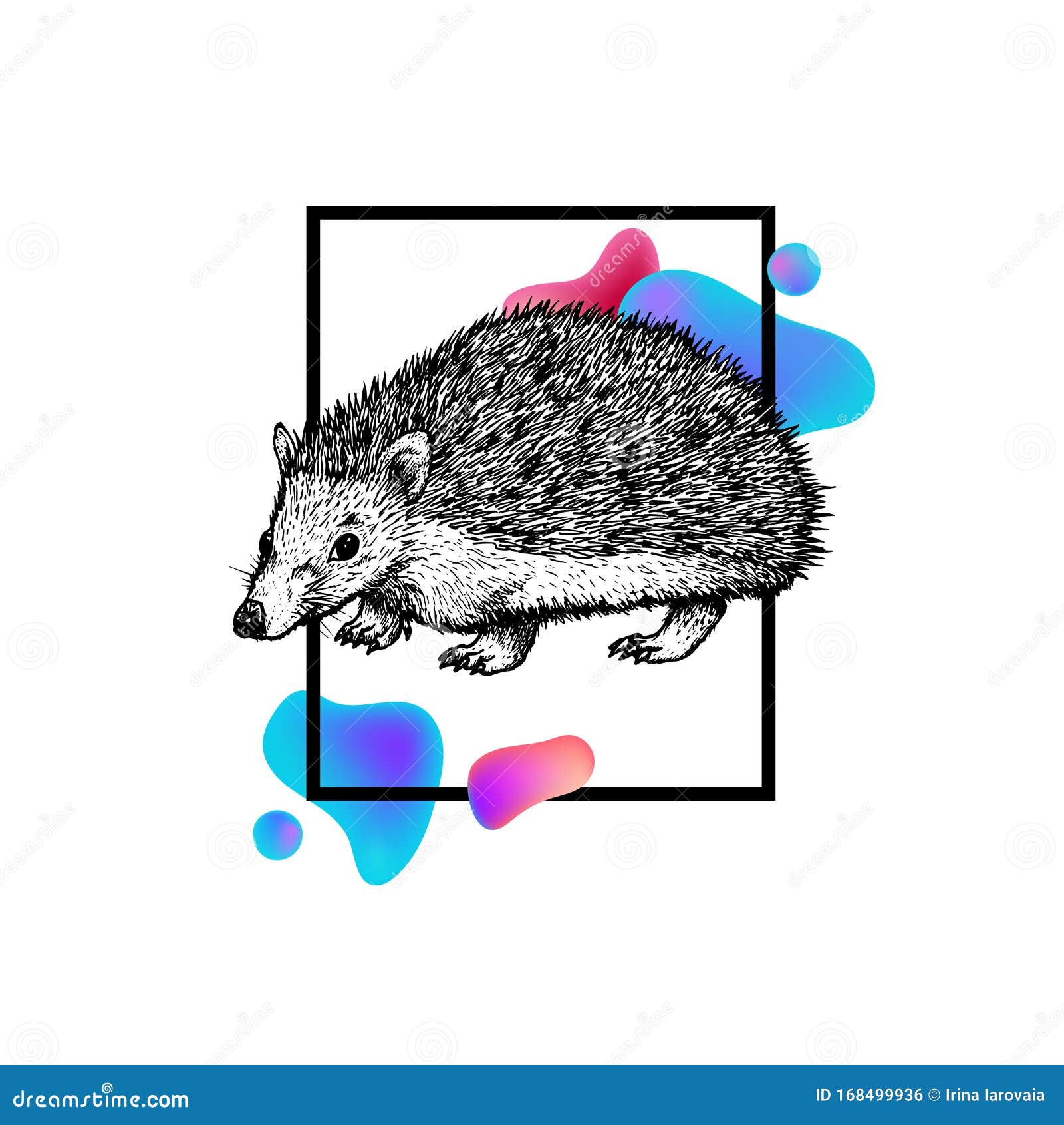 Hand Drawn Hedgehog with Frame and Abstraction. Vector Black White ...
