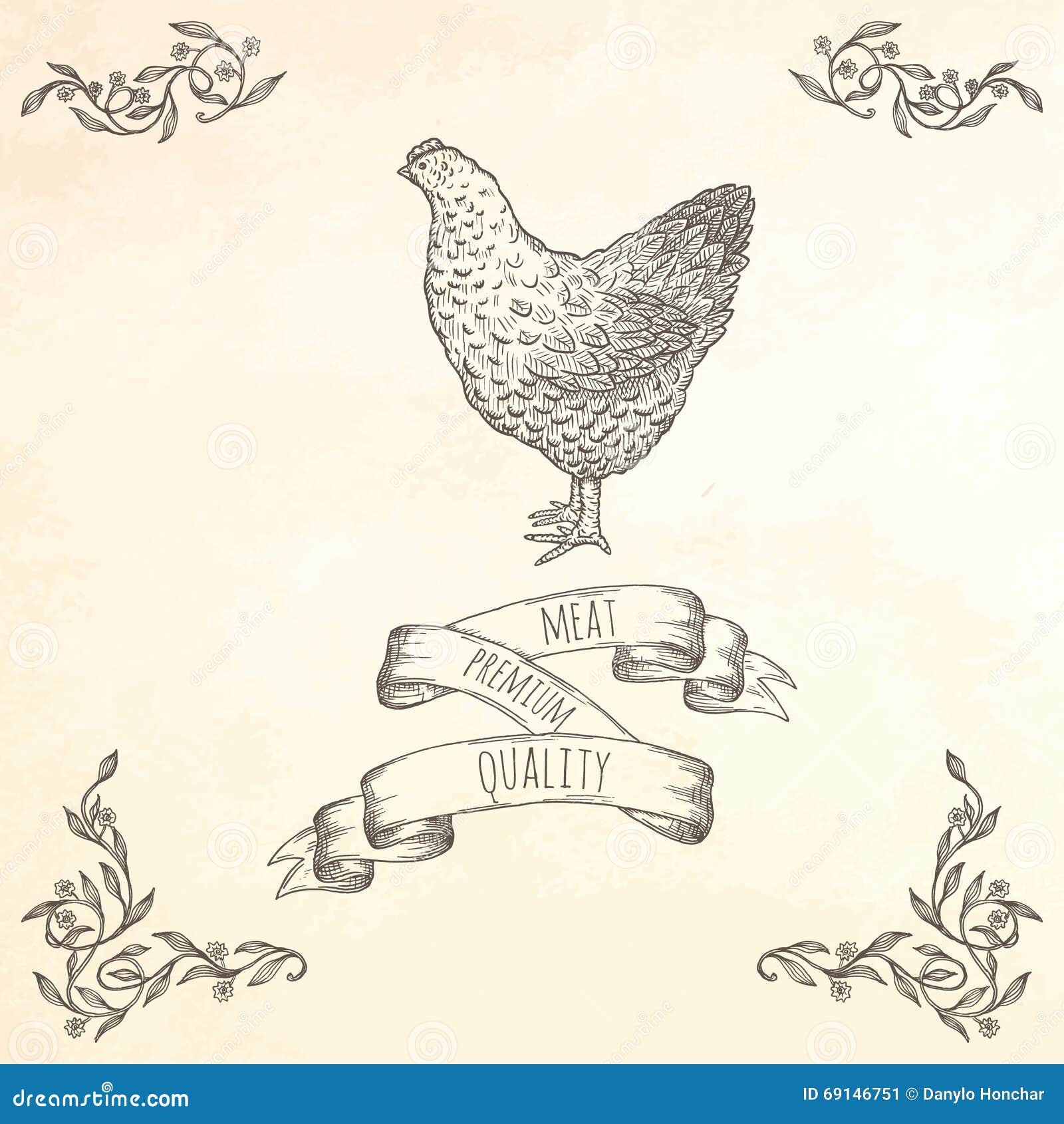 Hand Drawn Hen Illustration. Stock Vector - Illustration of engraving ...