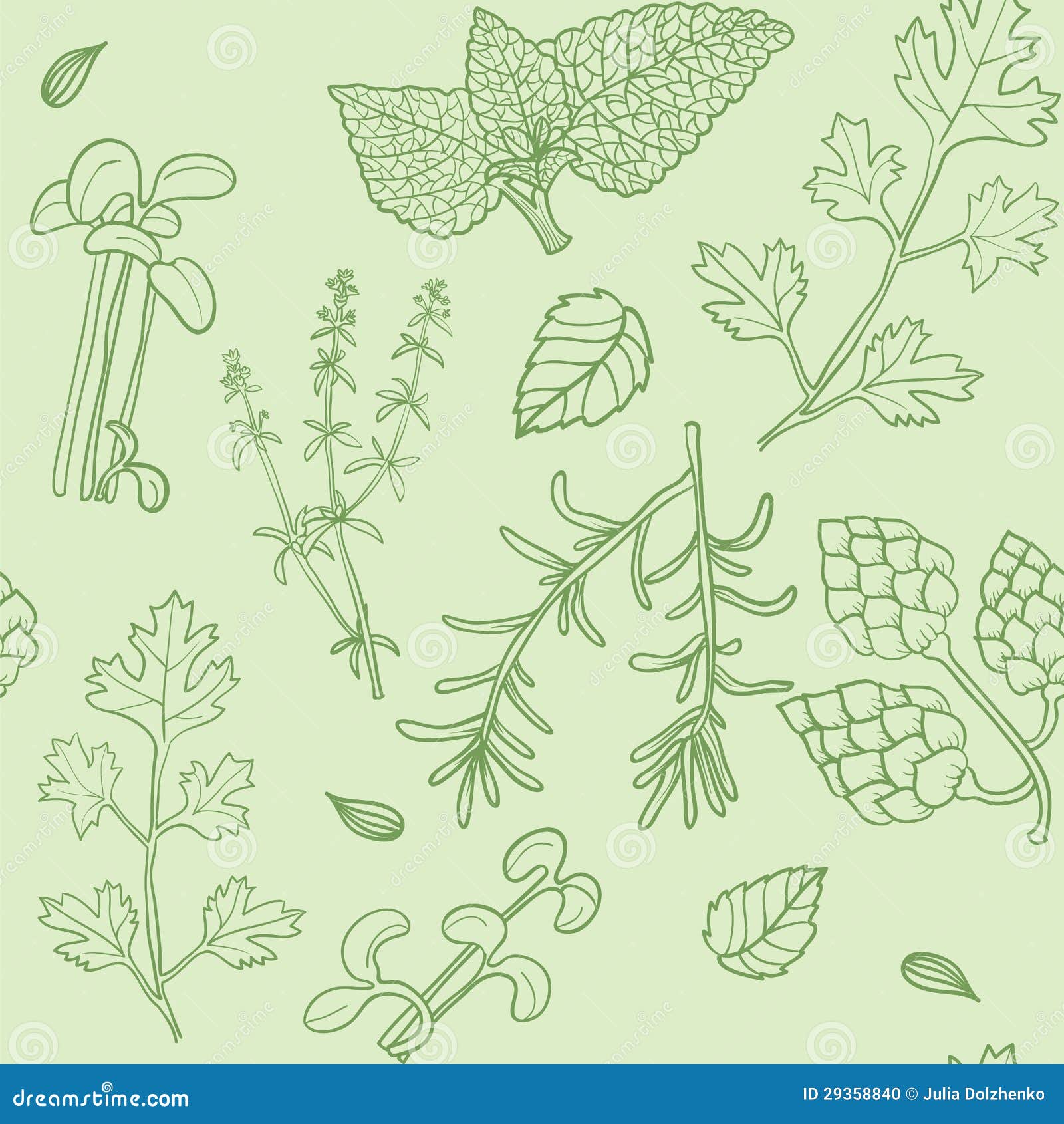 Hand Drawn Herbs Seamless Pattern Stock Vector - Illustration of nature ... Hand Drawn Herbs Seamless Pattern Stock Vector - Illustration of nature ...