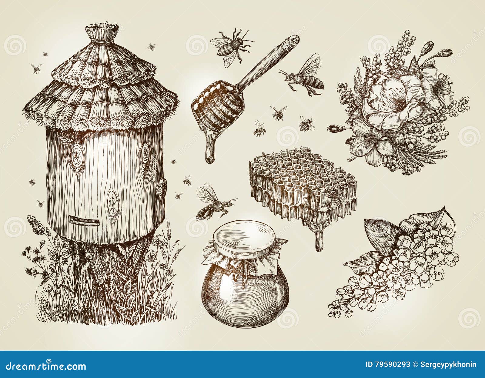 Hand Drawn Honey, Beekeeping, Bees. Collection Vintage Sketch Vector ... Hand Drawn Honey, Beekeeping, Bees. Collection Vintage Sketch Vector ...
