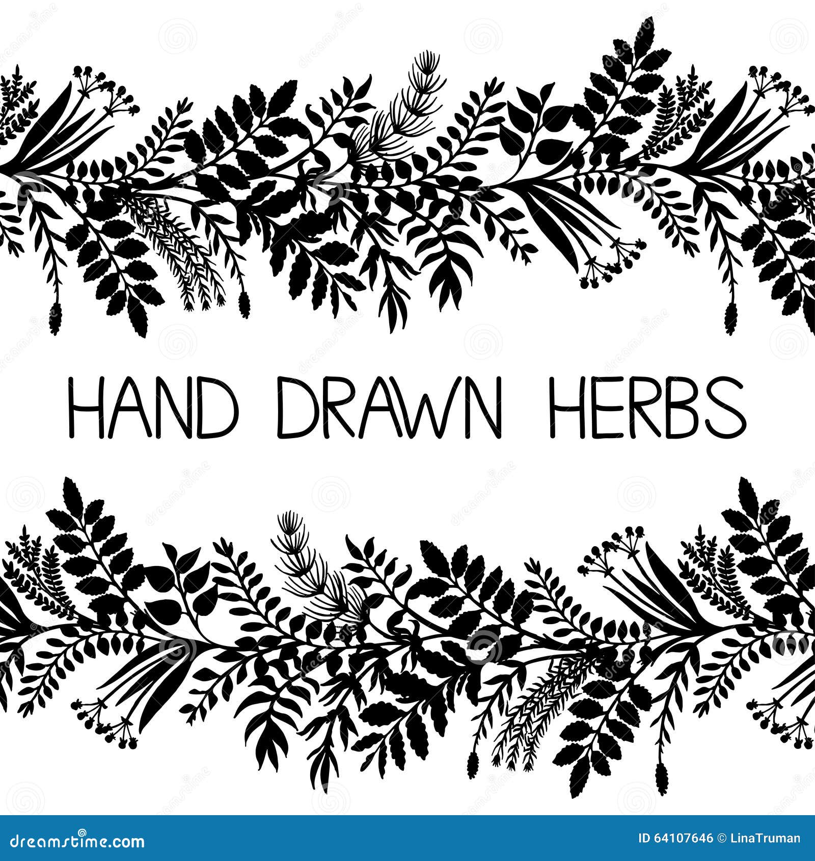 Hand Drawn Horizontal Border of Herbs and Plants, Vector Stock Vector ...