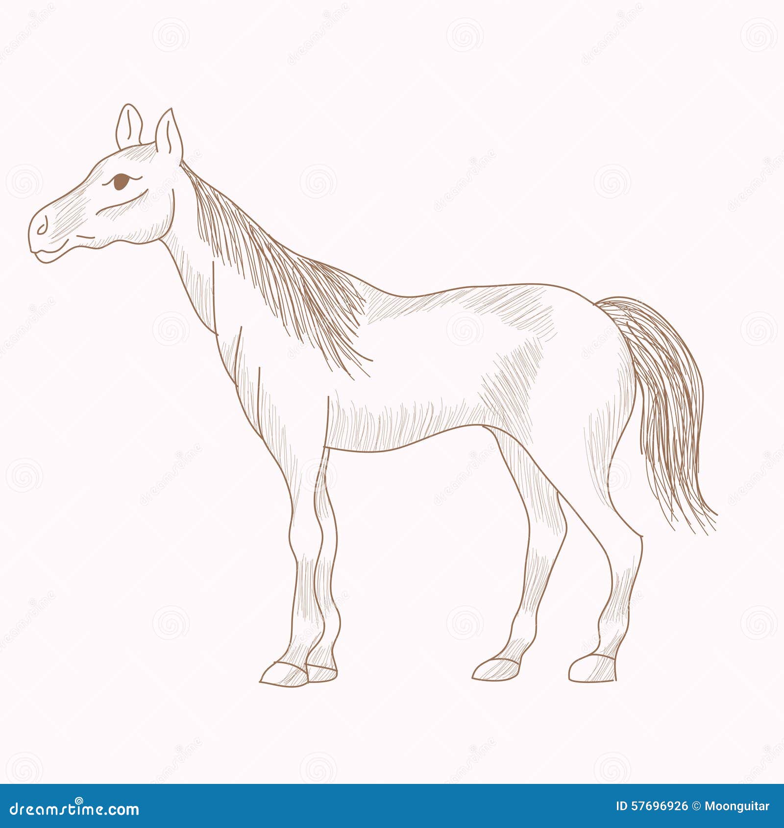 Hand Drawn Horse, Pencil Drawing of Mare Stock Vector - Illustration of ...