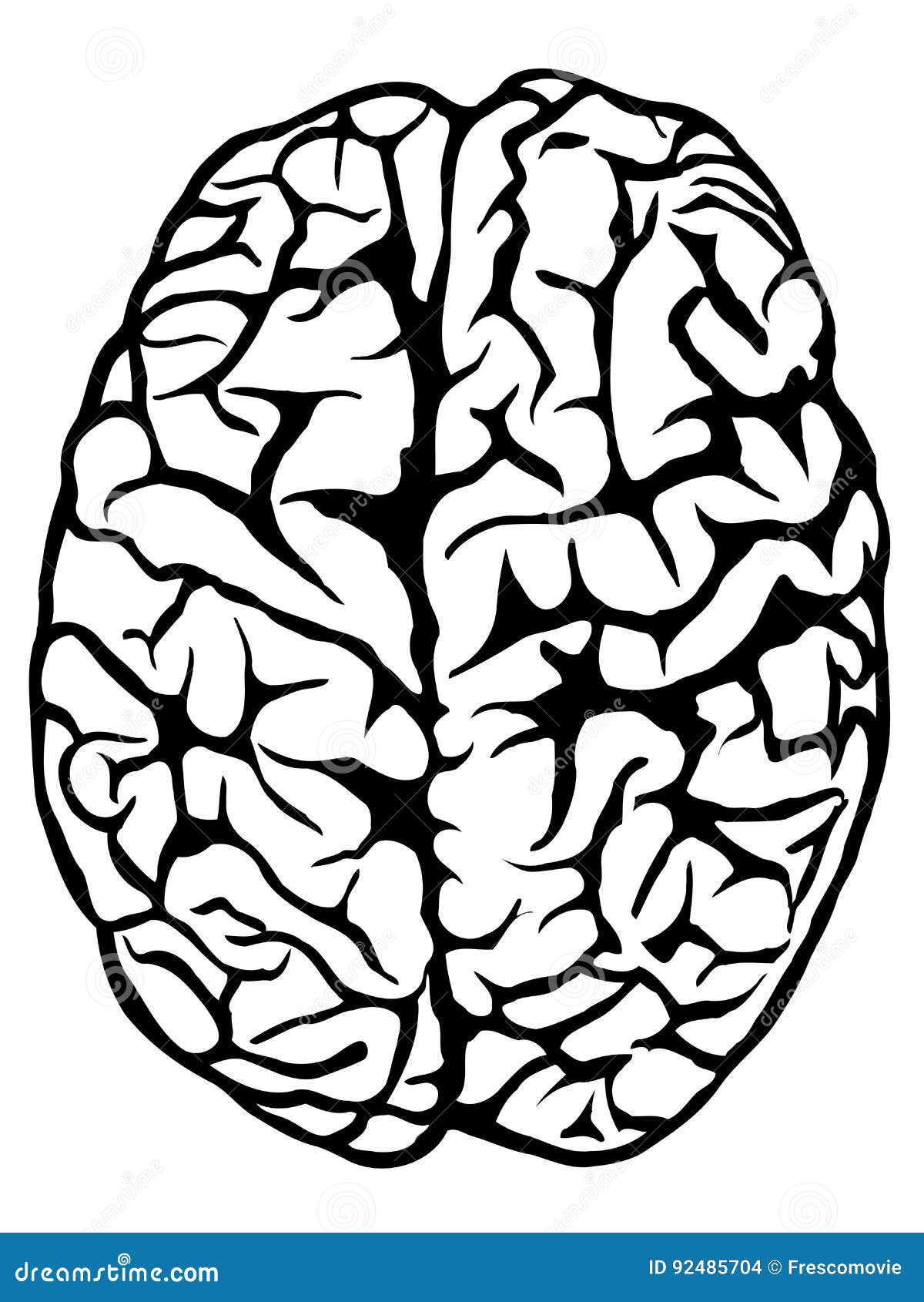 Hand drawn human brain stock vector. Illustration of education - 92485704