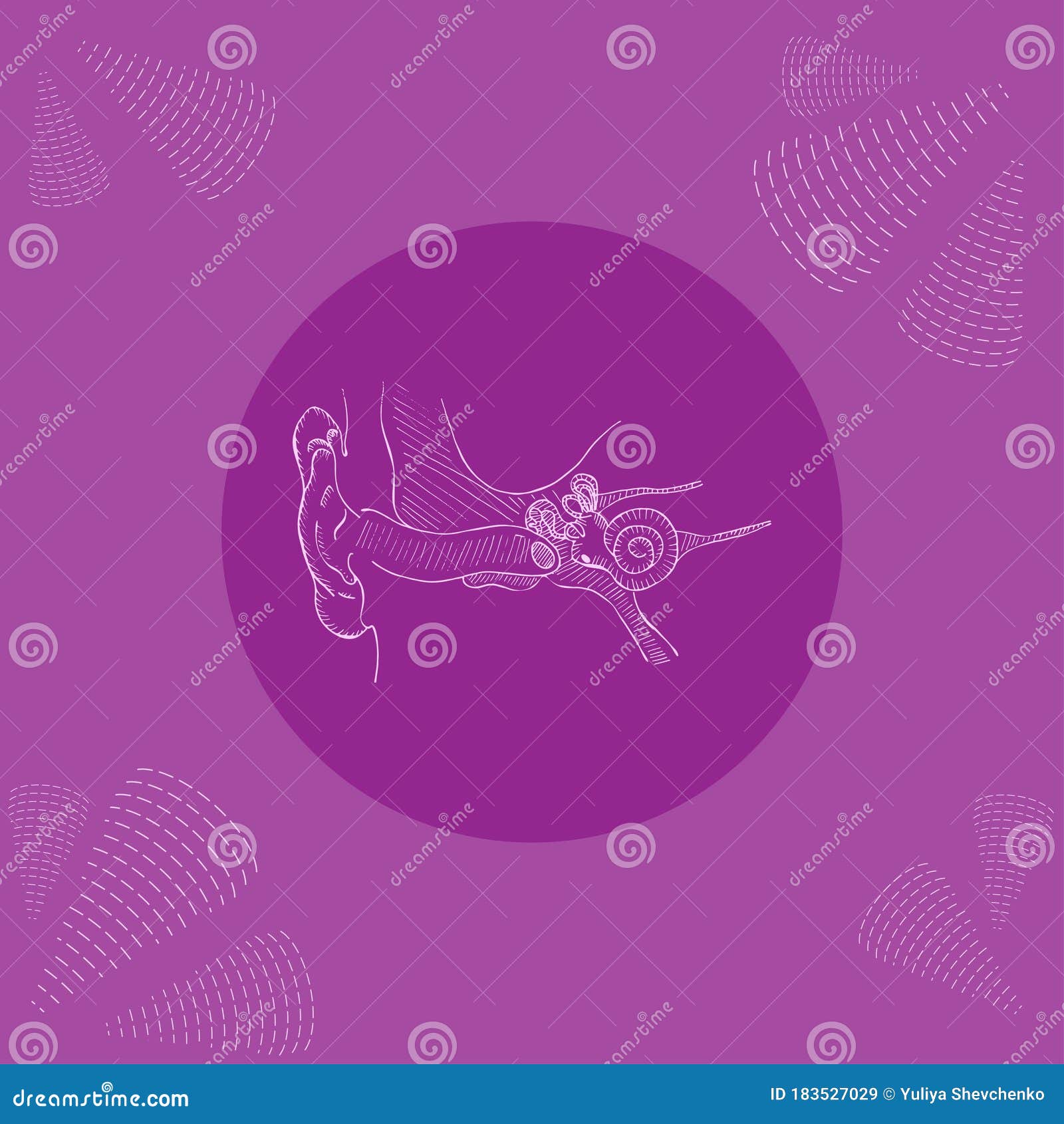 Hand Drawn Human External Ear Placed on the Colored Substrates Stock ...