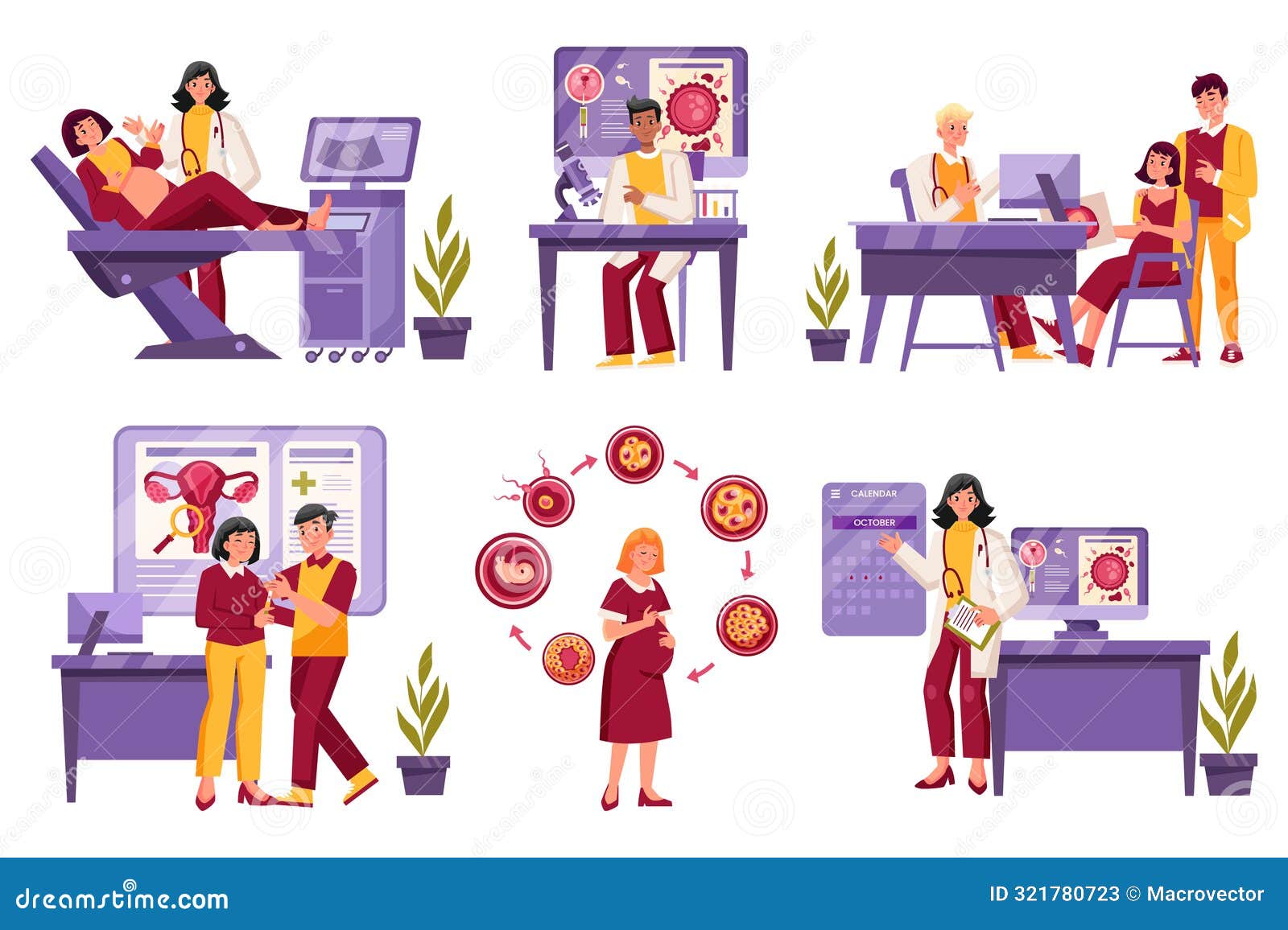 Human Fertilization And Embryonic Development Royalty-Free Cartoon ...