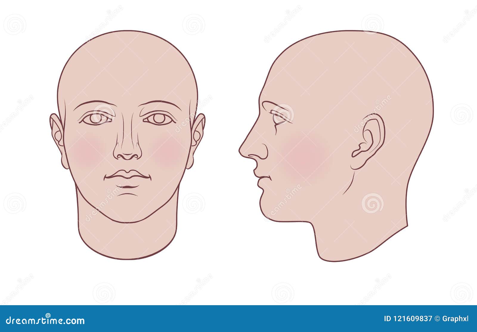Set Of Six Human Face Types Vector Illustration | CartoonDealer.com ...
