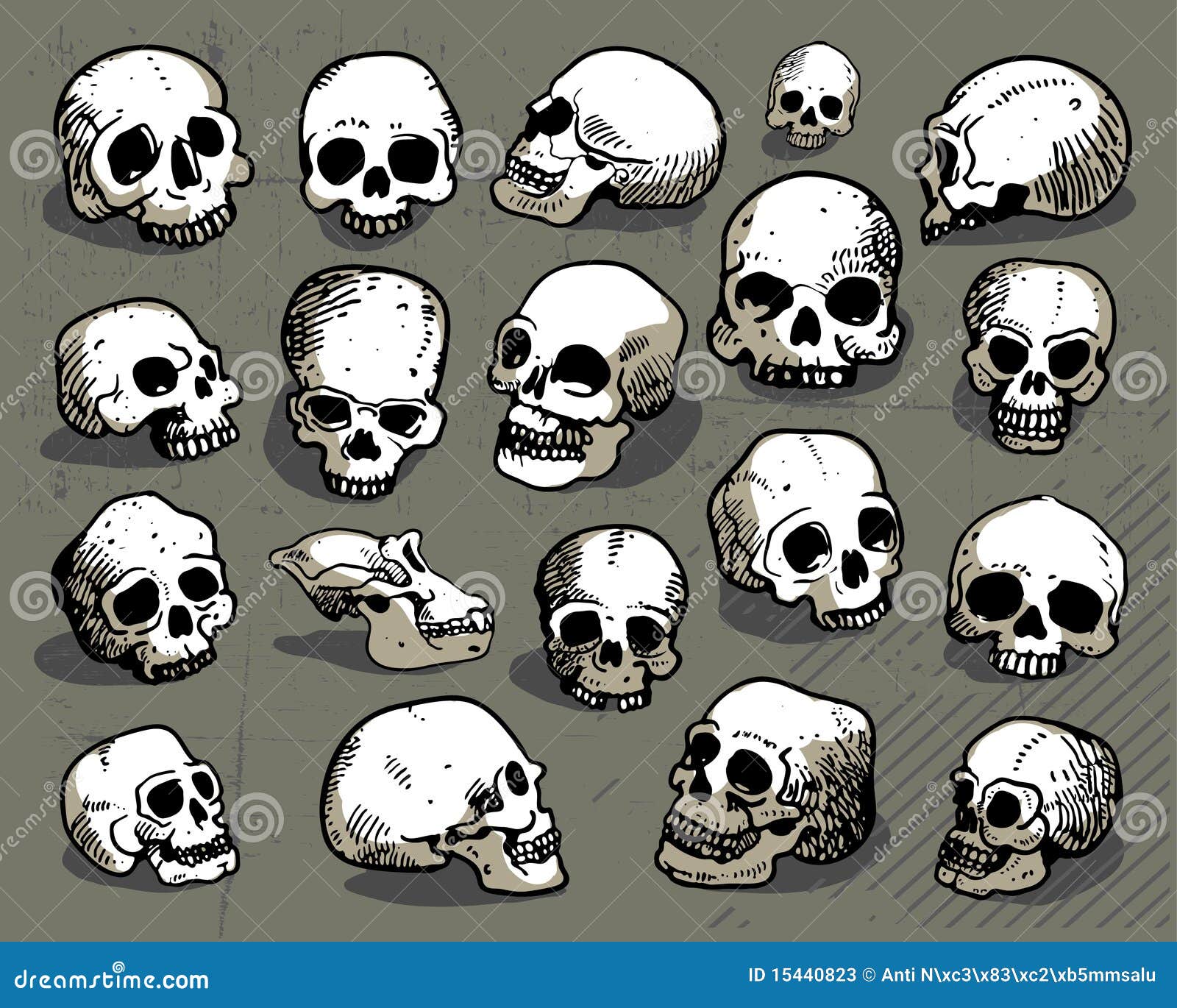 Hand-drawn human skulls stock vector. Illustration of artistic - 15440823