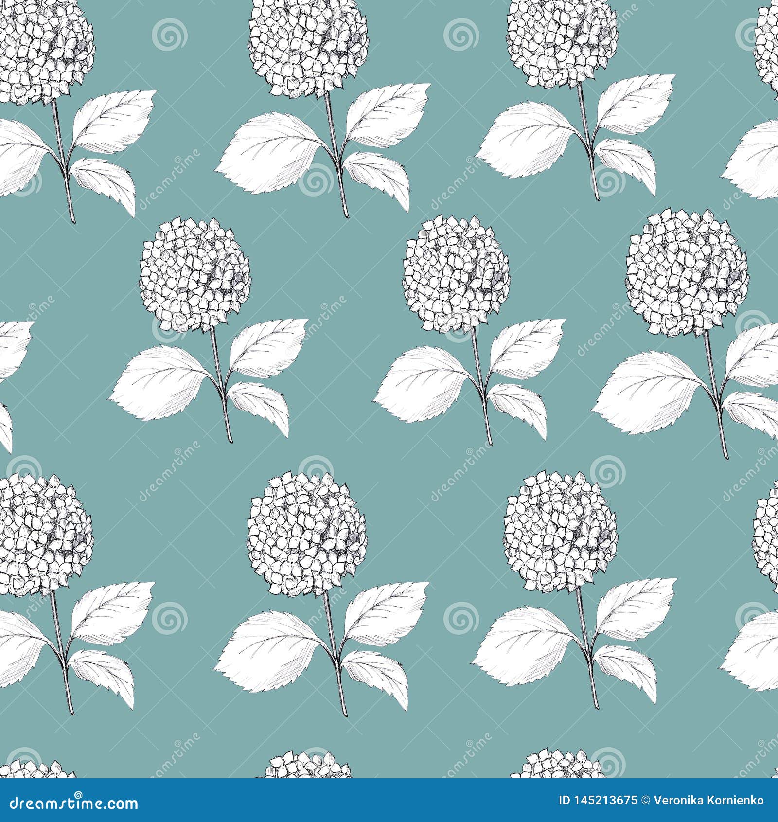 Hand Drawn Hydrangea Seamless Pattern. Stock Illustration ...