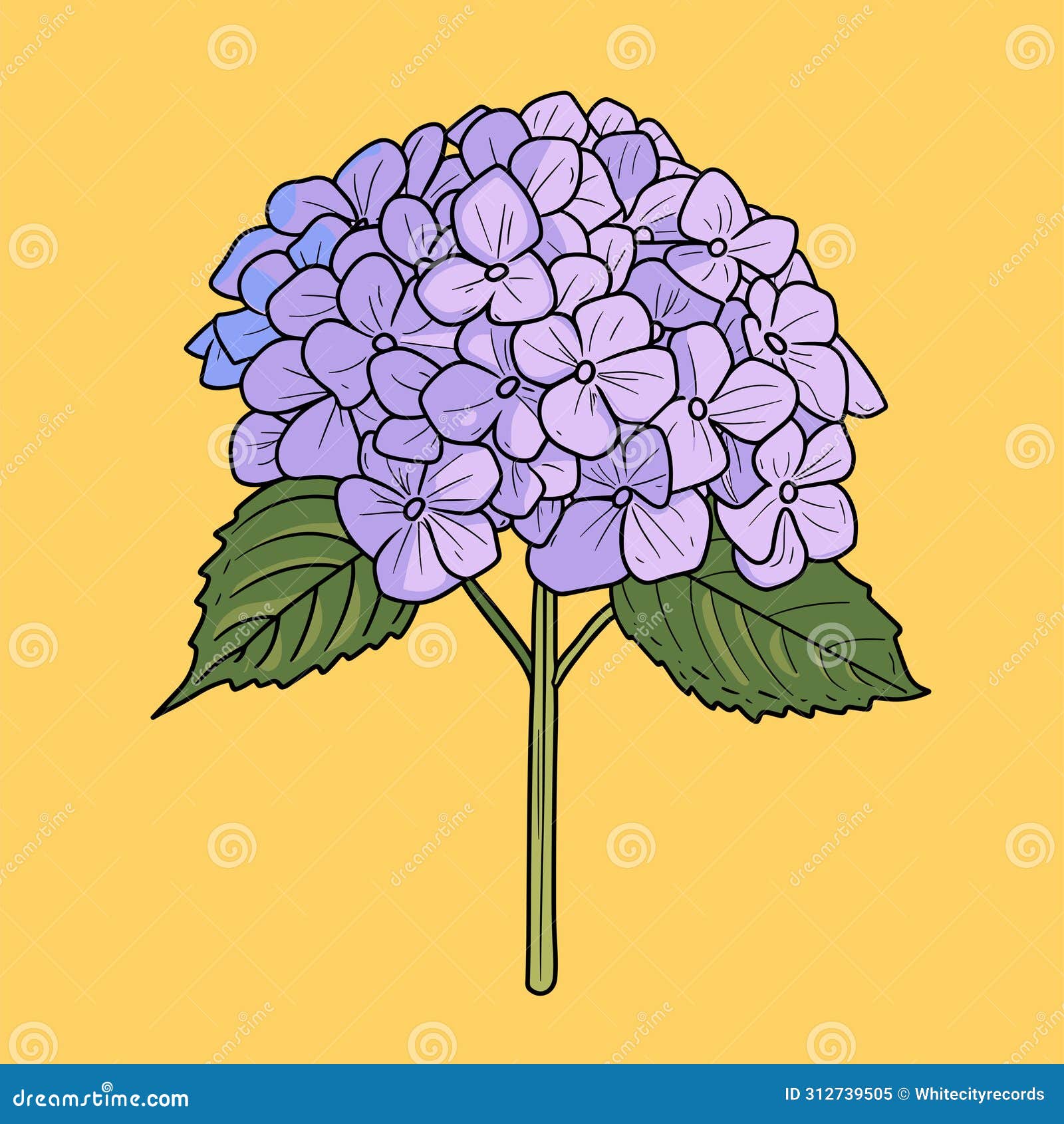 Hand Drawn Hydrangea. Vector Illustration in Doodle Style. Stock Vector ...