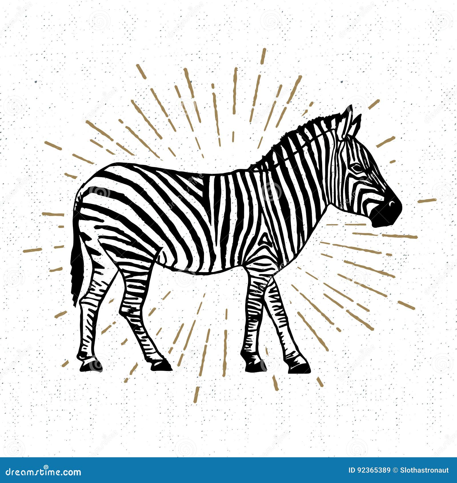 Hand Drawn Icon with Textured Zebra Vector Illustration Stock Vector ...
