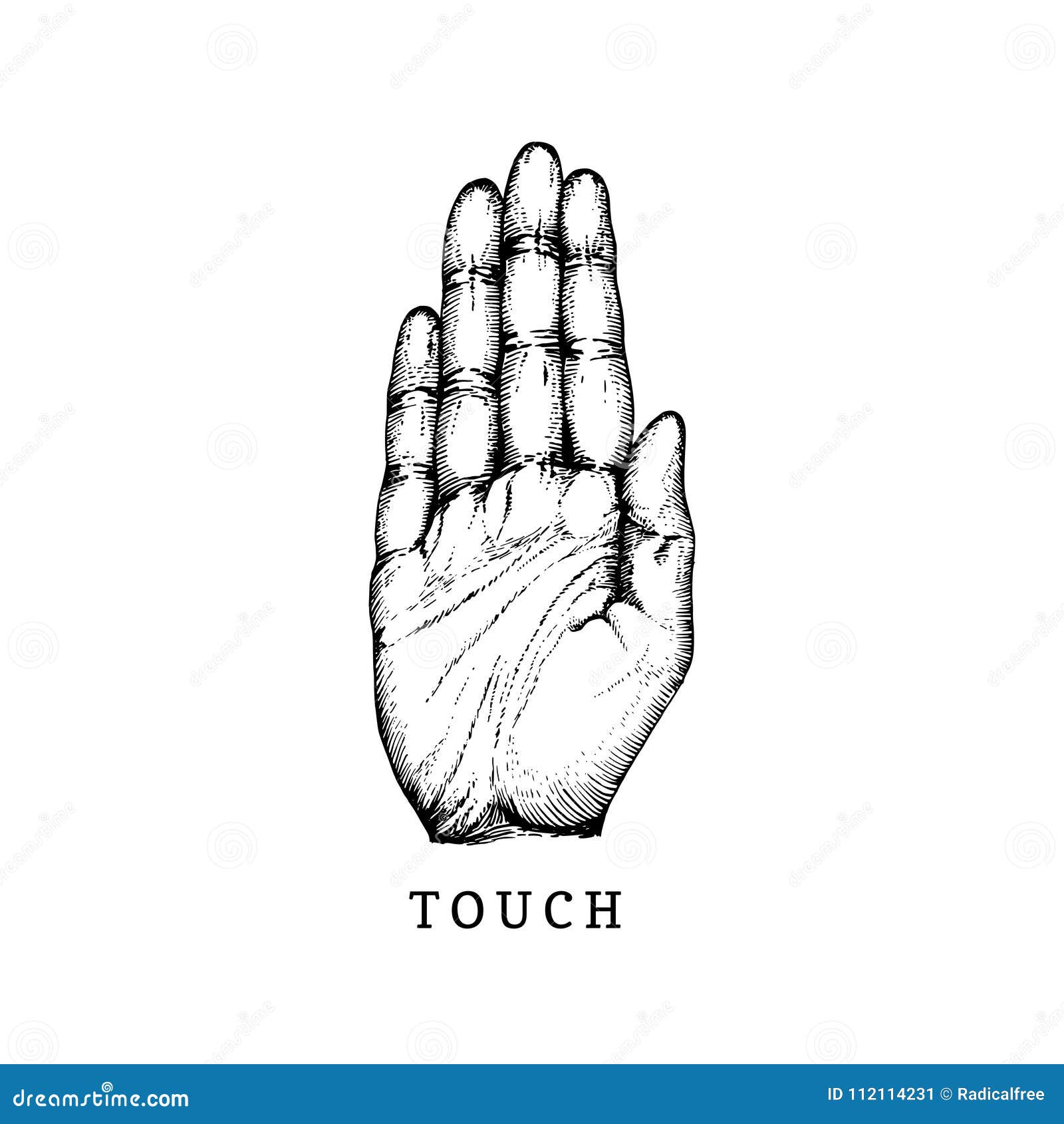 Hand Drawn Icon of Touch Sense in Engraved Style. Vector Illustration ...
