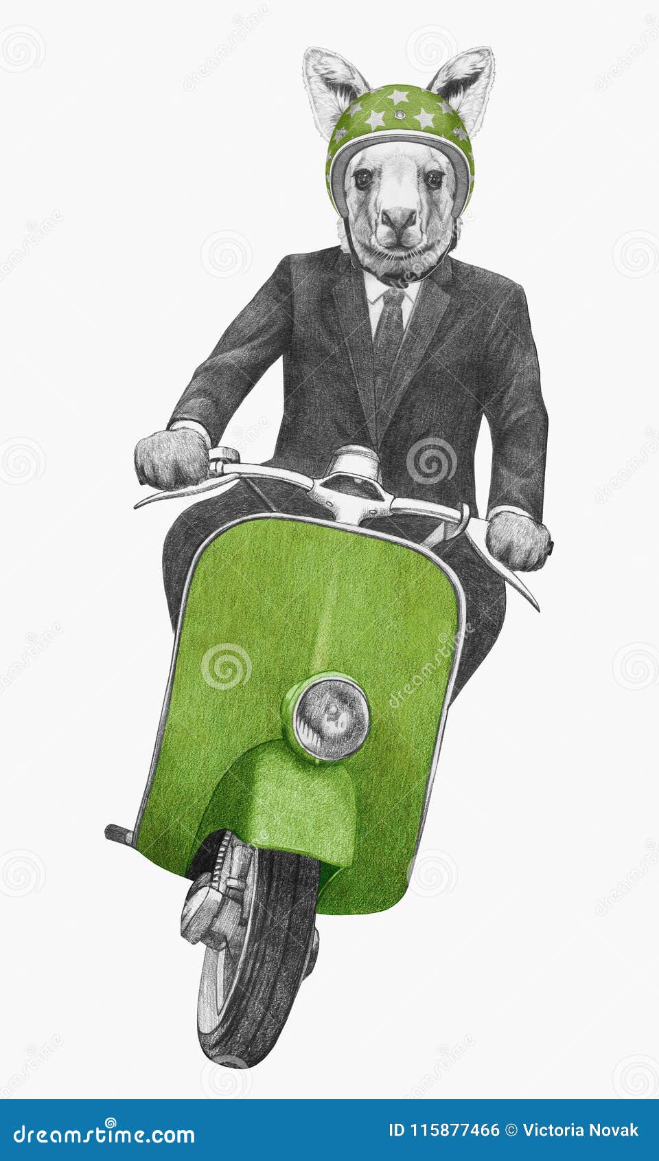 Kangaroo Rides Scooter, Hand-drawn Illustration Stock Illustration ...