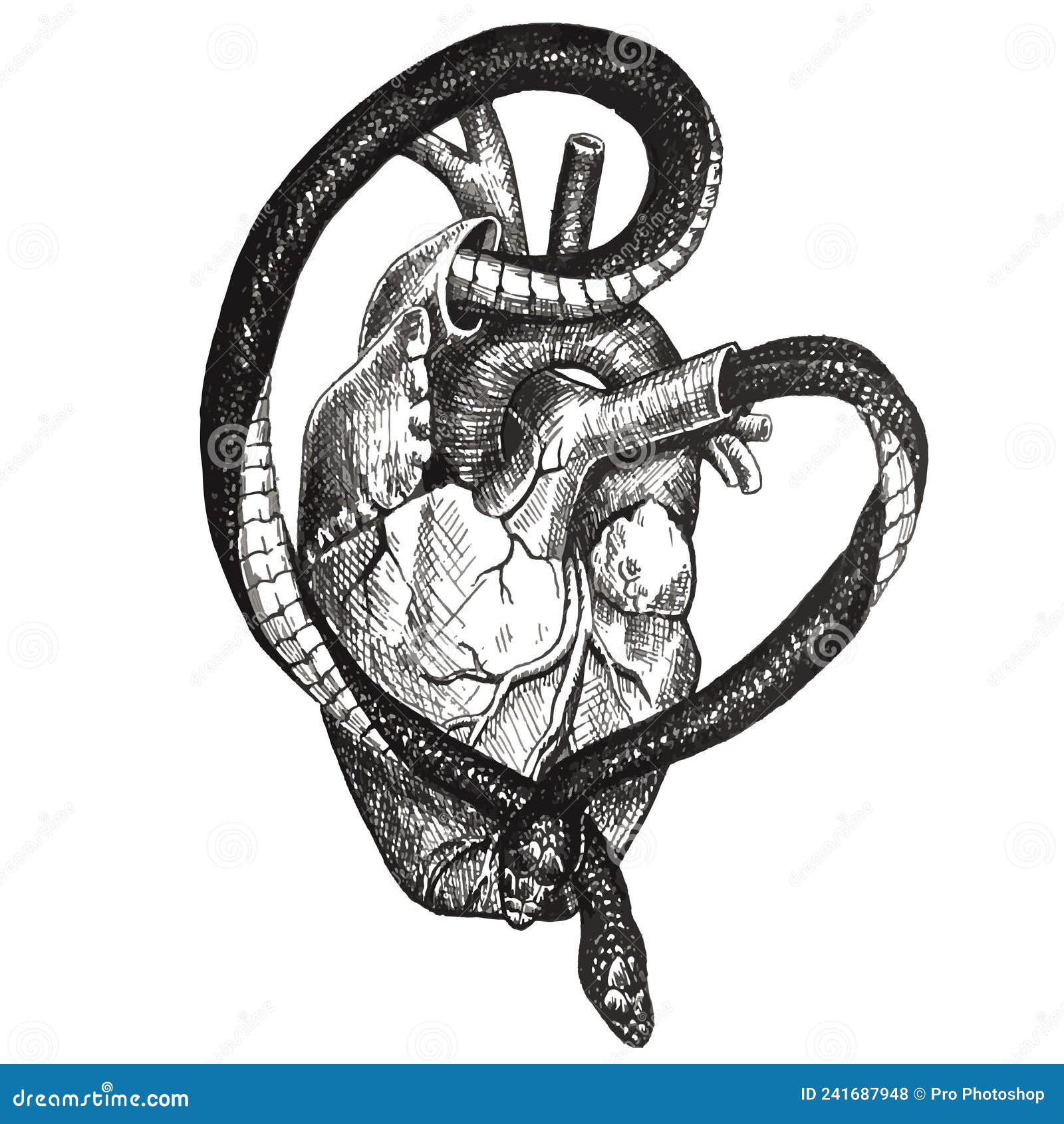 Hand Drawn Illustration Artwork of Snake Inside the Human Heart Stock ...