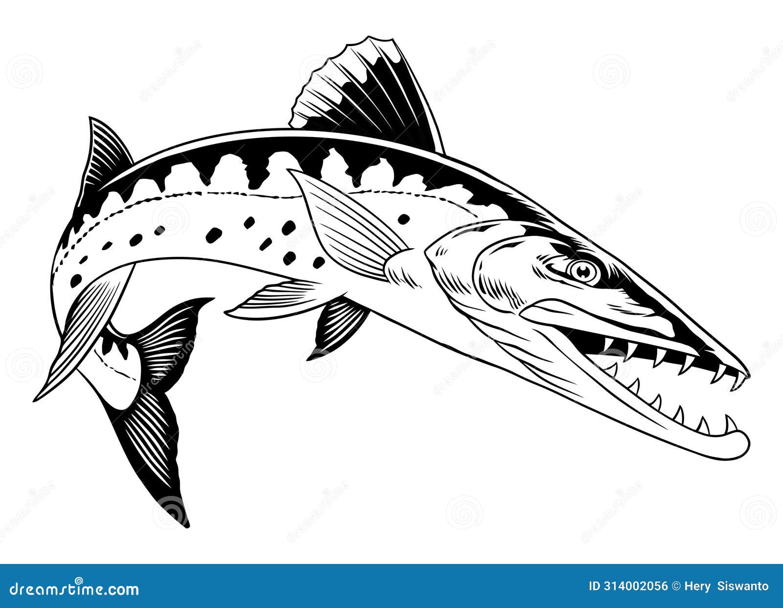 Hand Drawn Illustration of Barracuda Fish Jumping Isolated Stock Vector ...