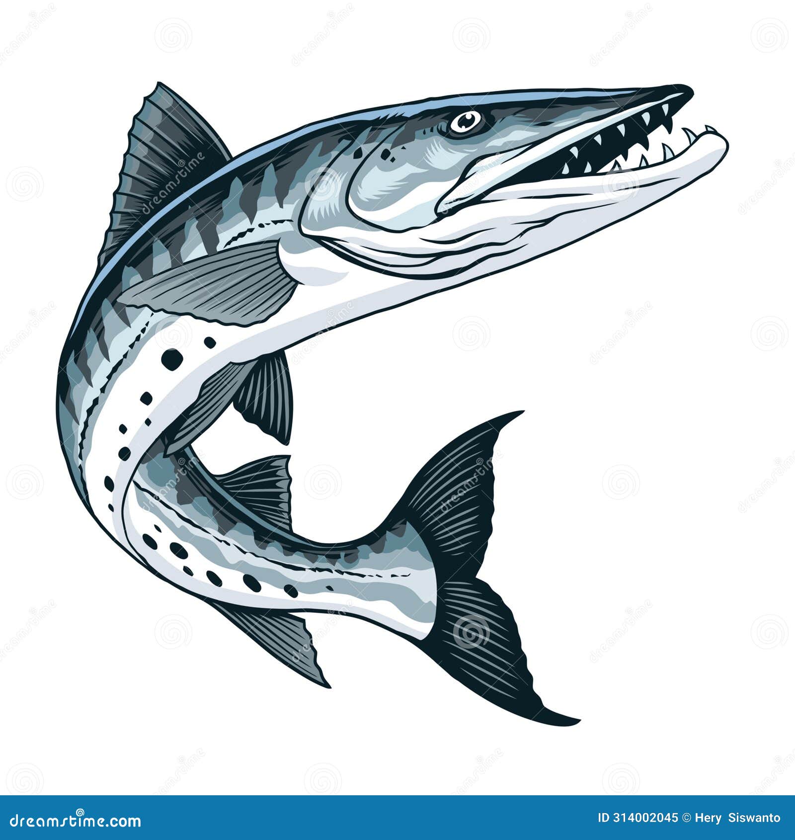 Hand Drawn Illustration of Barracuda Fish Vintage Stock Vector ...