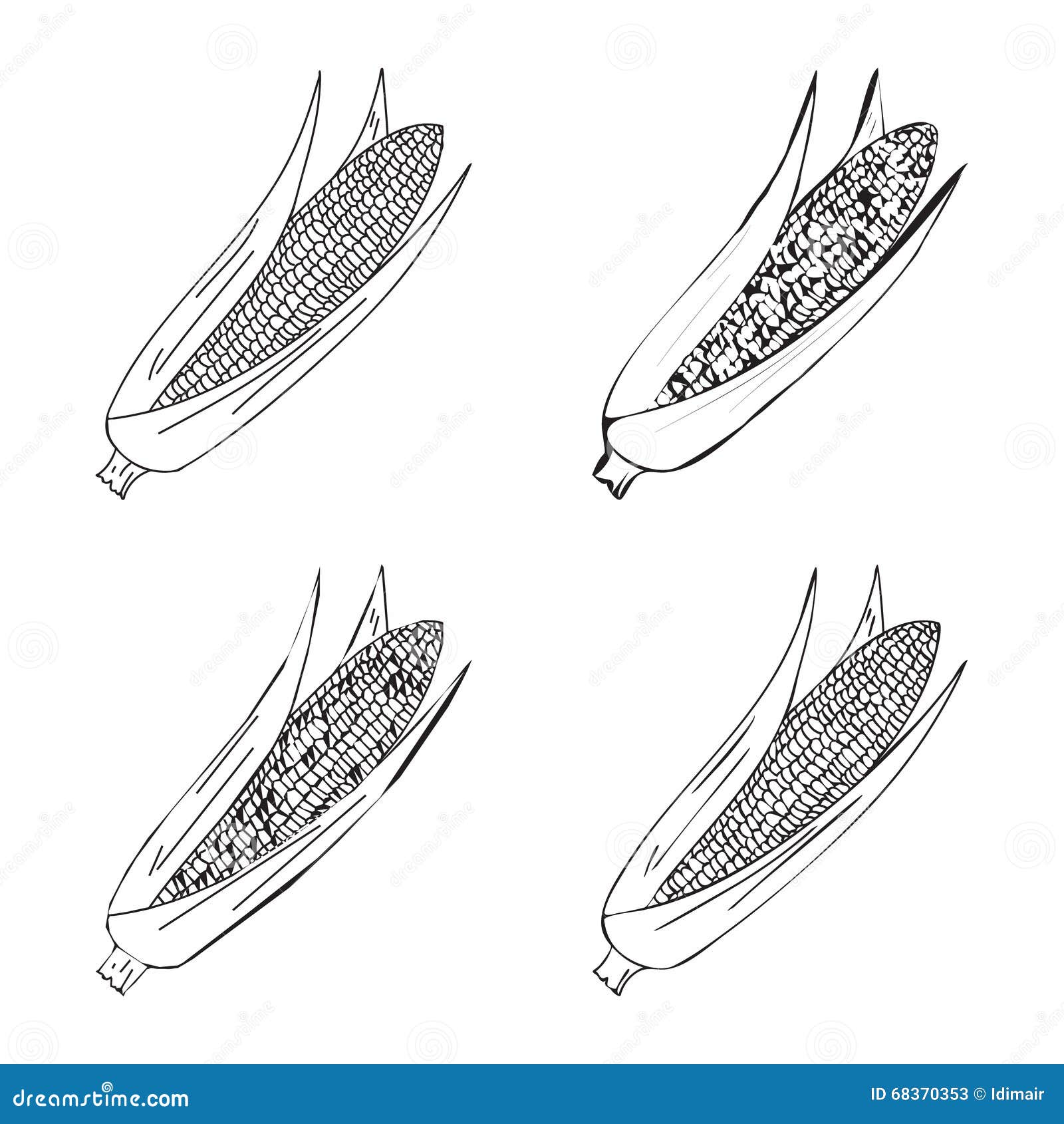 Hand Drawn Illustration of Corn Stock Vector - Illustration of corn ...
