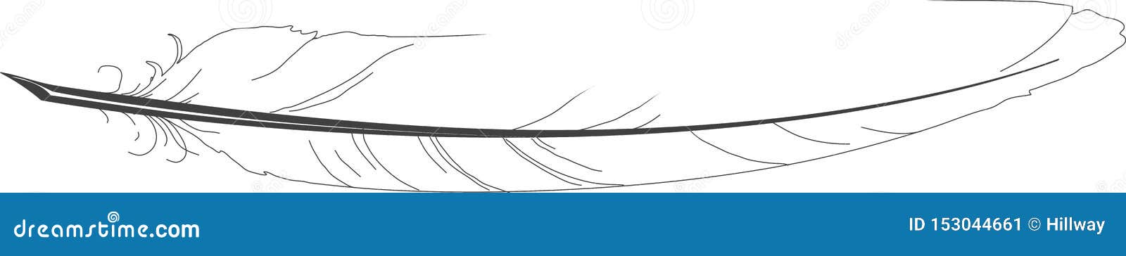 Hand Drawn Illustration of Feather for Writing Stock Vector ...