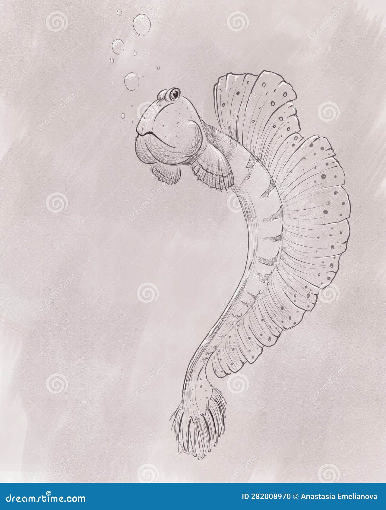 Hand Drawn Illustration of the Fish Stock Illustration - Illustration ...