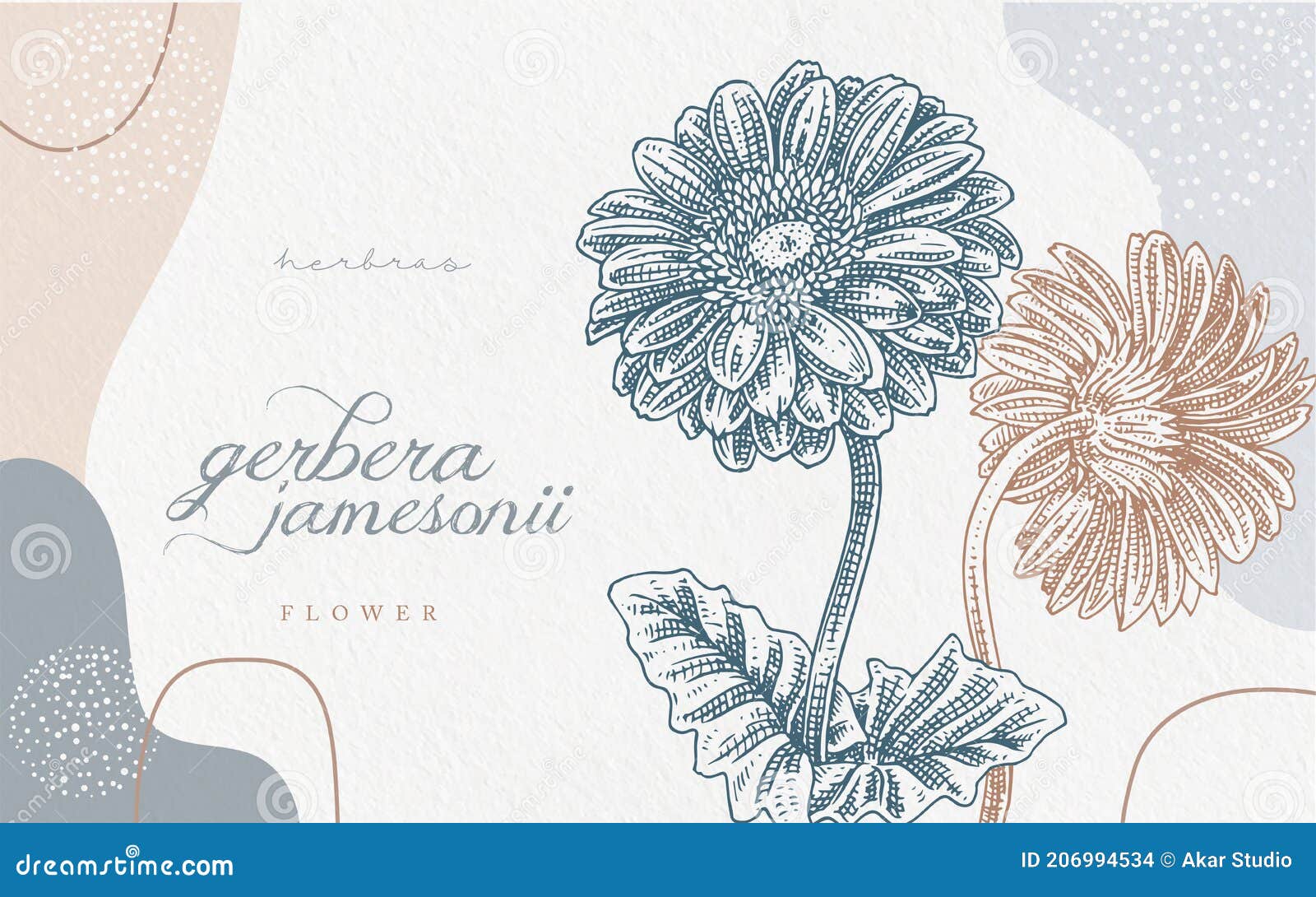 Seamless Hand Drawn Illustration Garbera Flower with Elegant Background ...