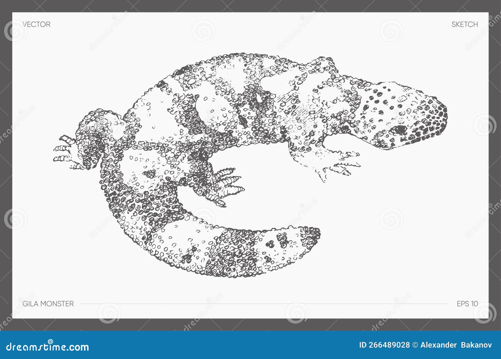 Hand Drawn Illustration of Gila Monster, Sketch Stock Vector ...