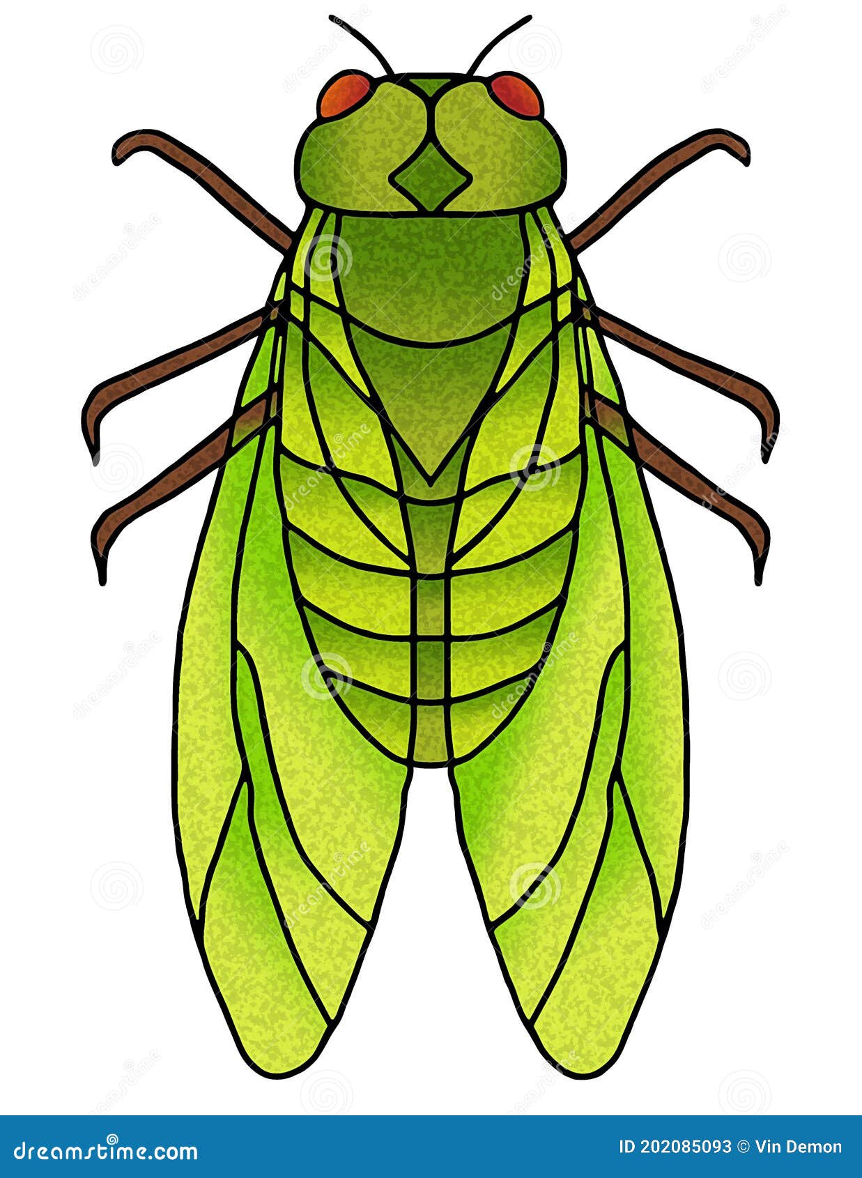 A Hand Drawn Illustration of a Green Cicada Bug Stock Illustration ...