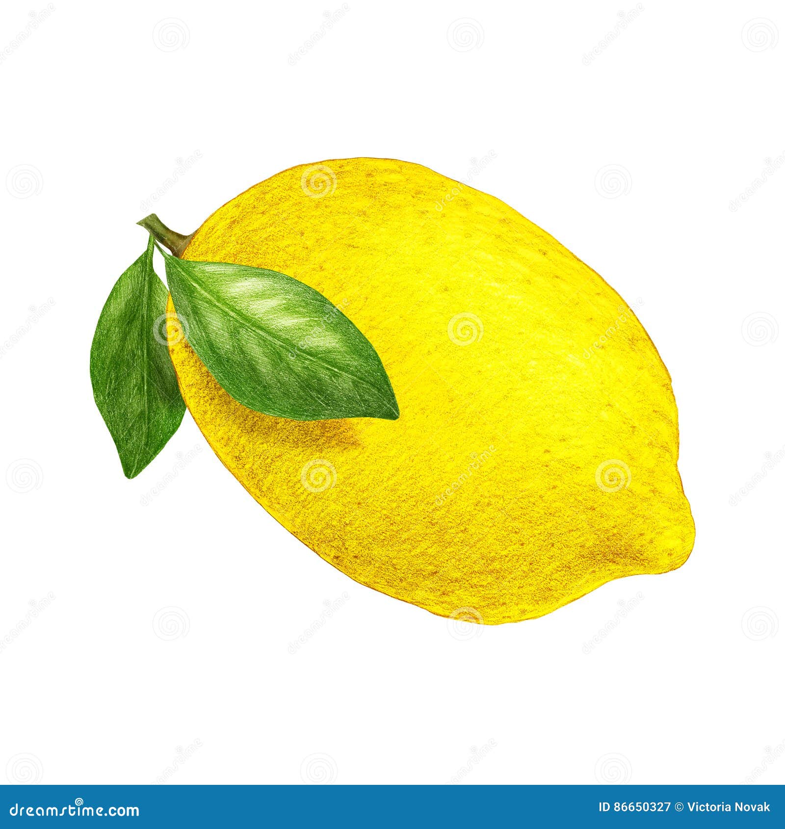 Hand-drawn Illustration of Lemon. Stock Illustration - Illustration of ...