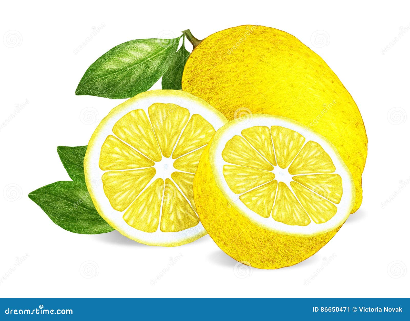 Hand-drawn Illustration of Lemon. Stock Illustration - Illustration of ...