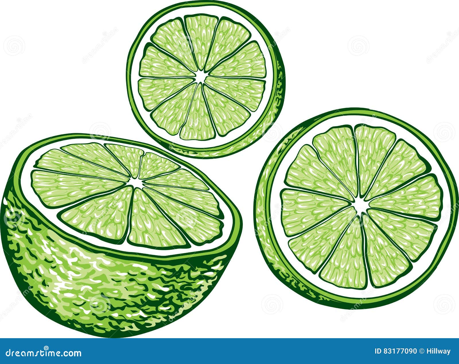 Hand Drawn Illustration of Lime. Stock Vector - Illustration of food ...