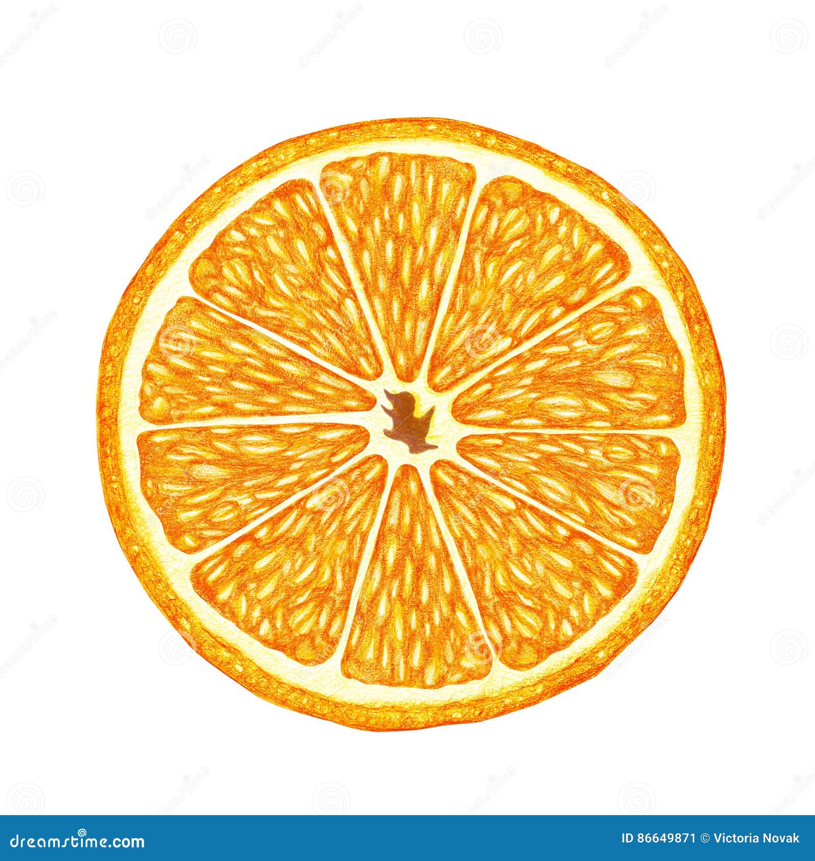Hand-drawn Illustration of Orange. Stock Illustration - Illustration of ...