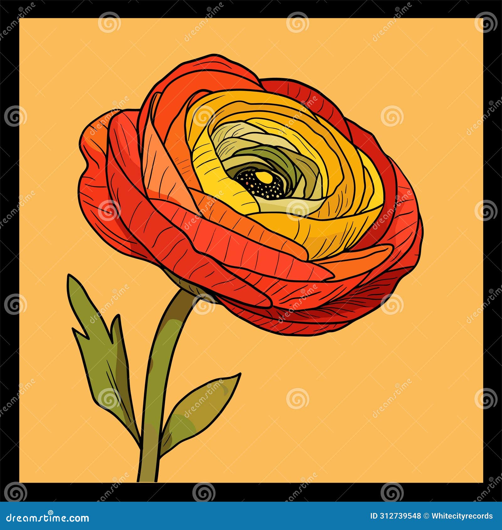 Hand Drawn Illustration of an Orange Ranunculus. Vector Drawing. Stock ...