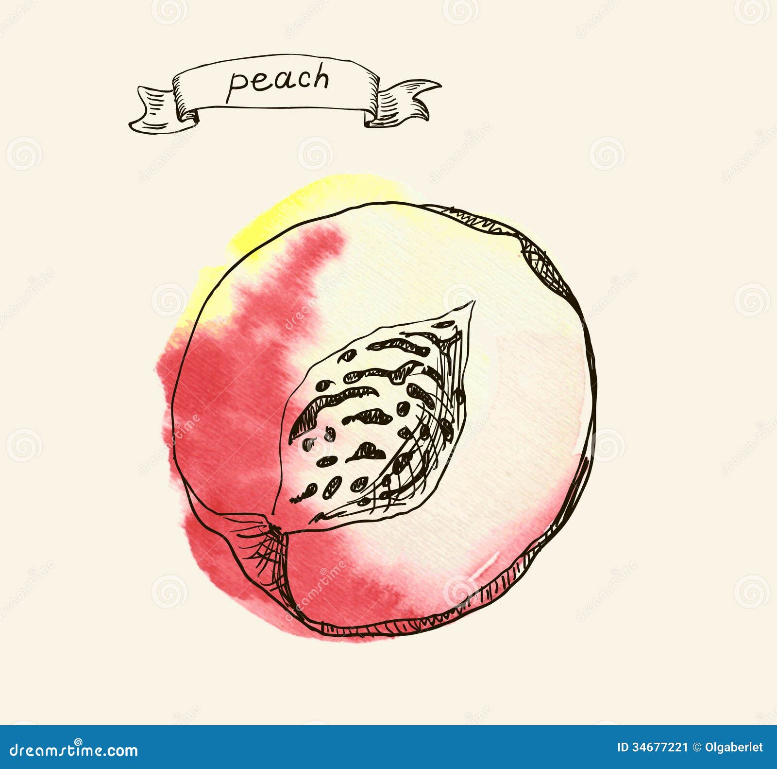 Hand Drawn Illustration of Peach Stock Vector - Illustration of drawn ...