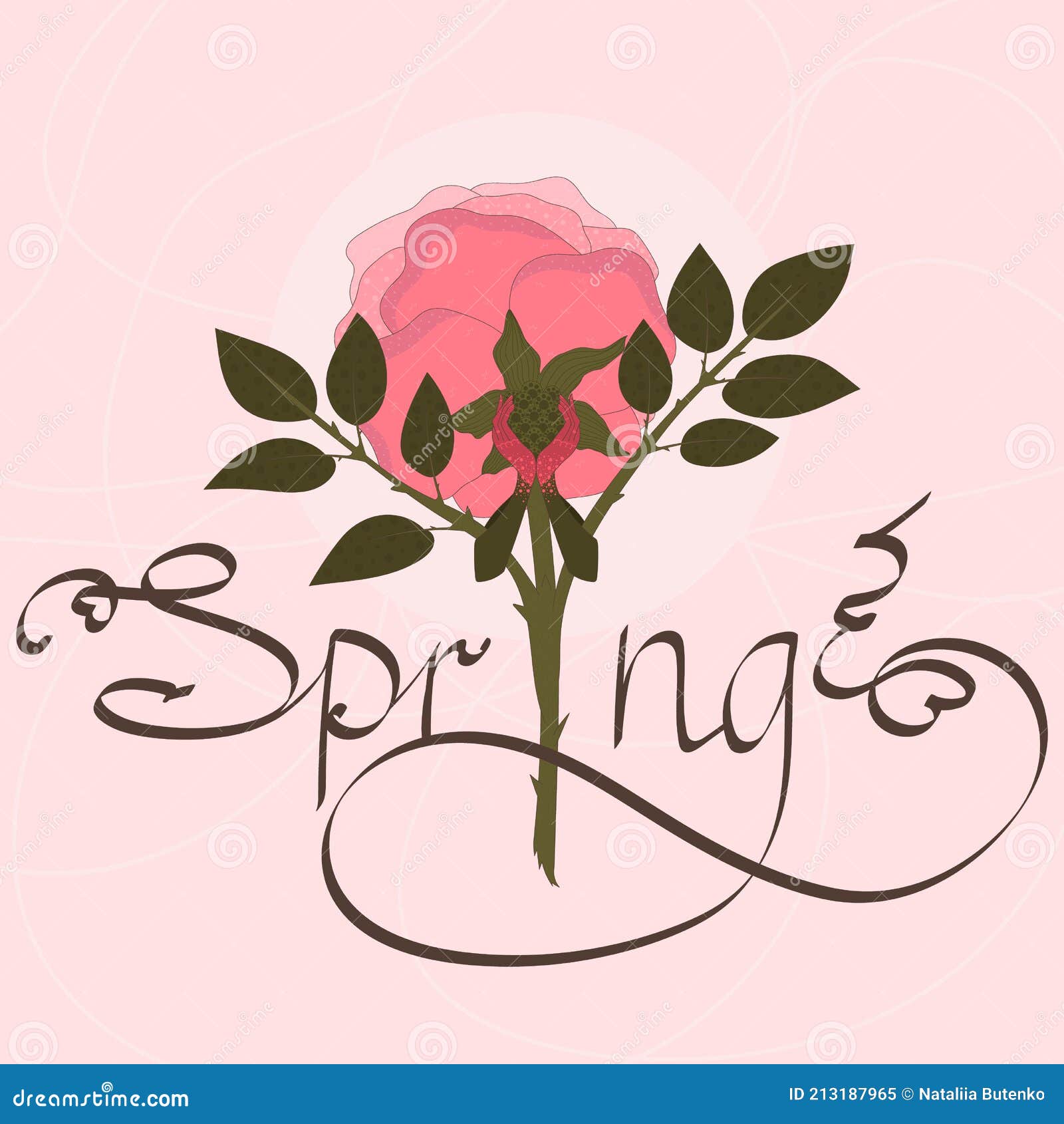 Hand-drawn Vector Pink Rose with a Text Stock Vector - Illustration of ...