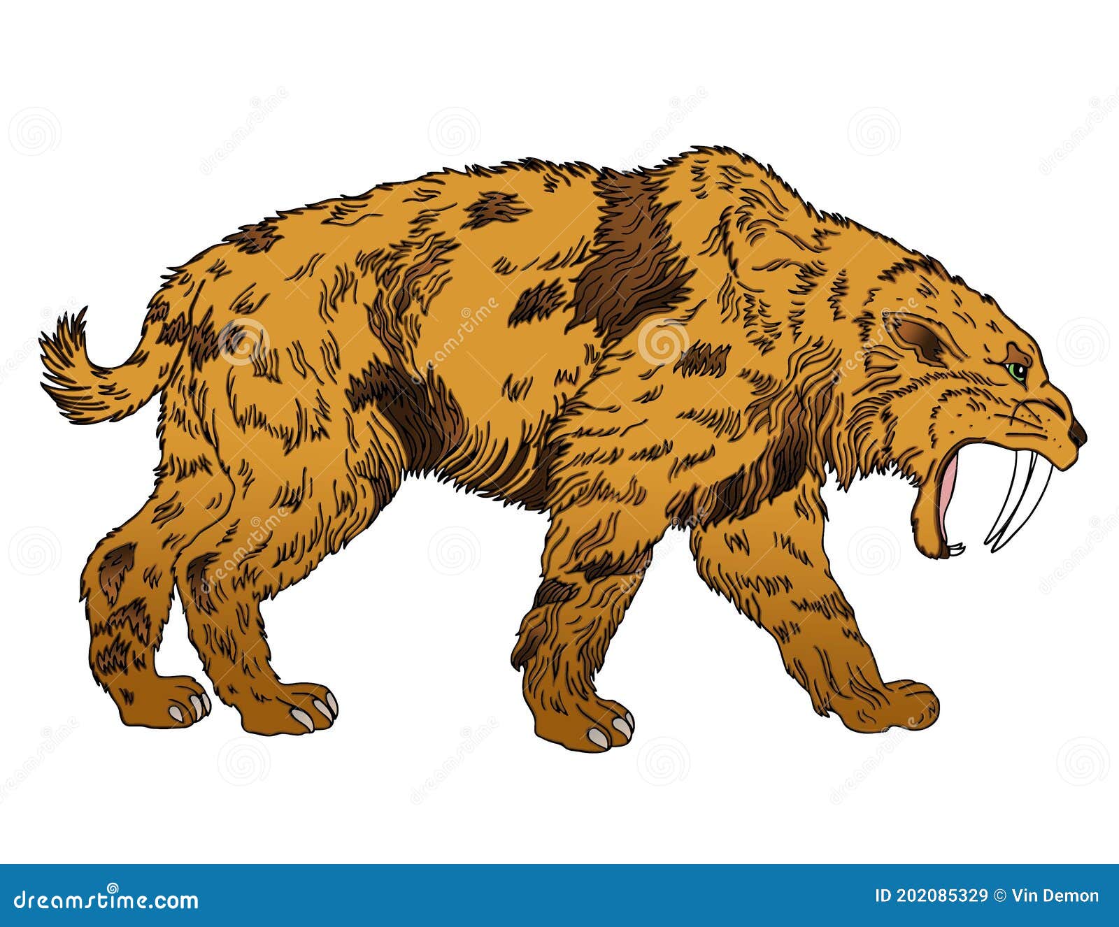 A Hand Drawn Illustration of a Sabertooth Tiger Stock Illustration ...