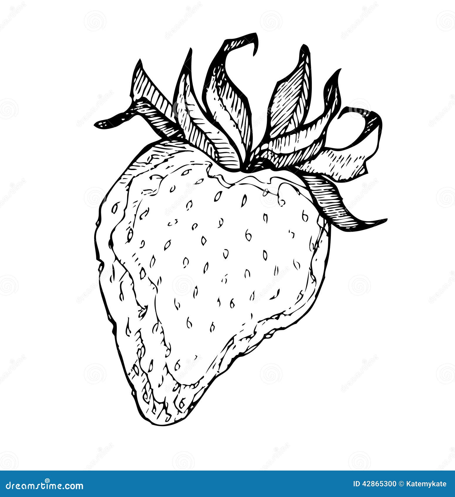 Hand Drawn Illustration - Strawberries Stock Vector - Illustration of ...