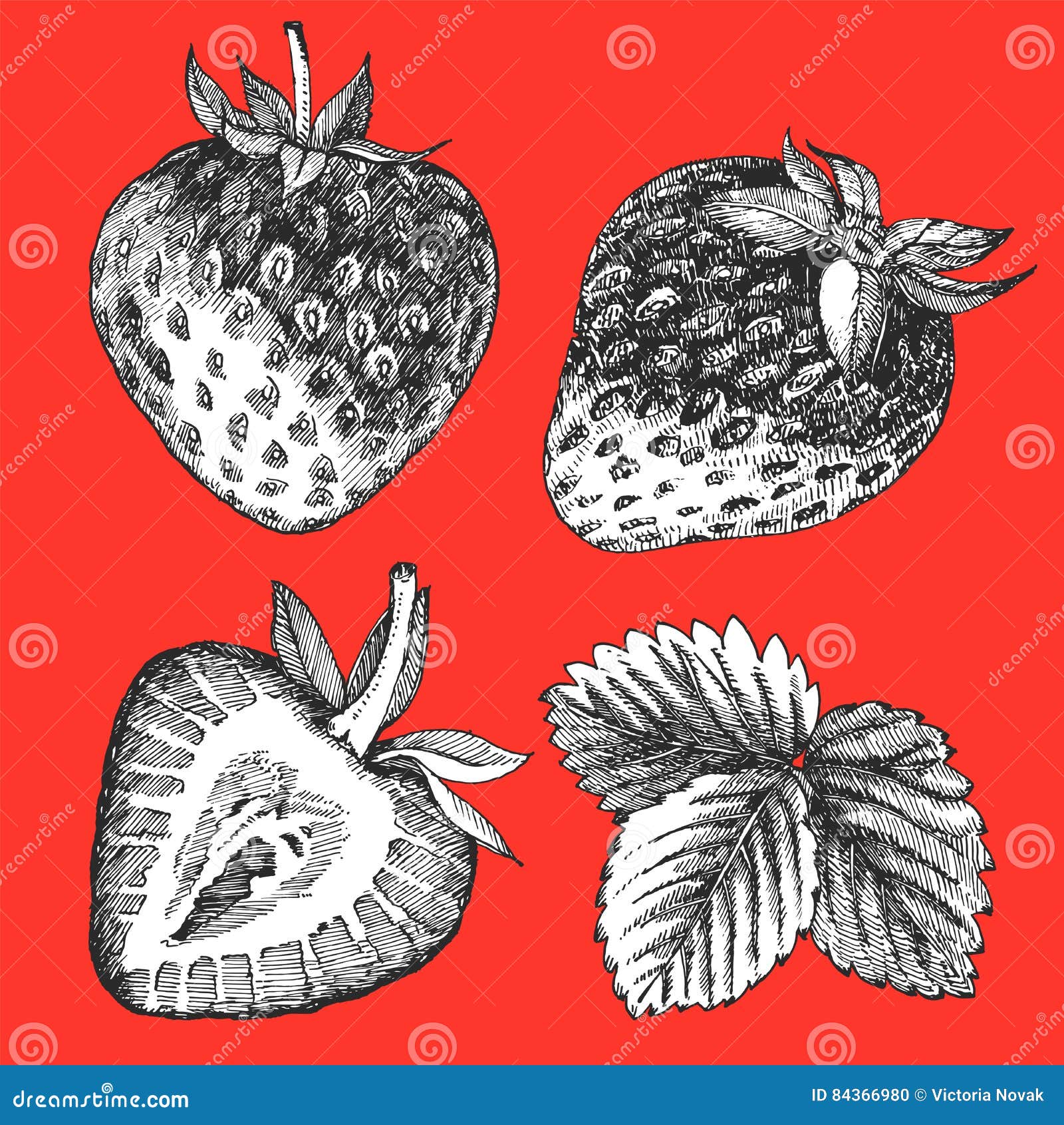 Hand-drawn Illustration of Strawberry. Stock Vector - Illustration of ...
