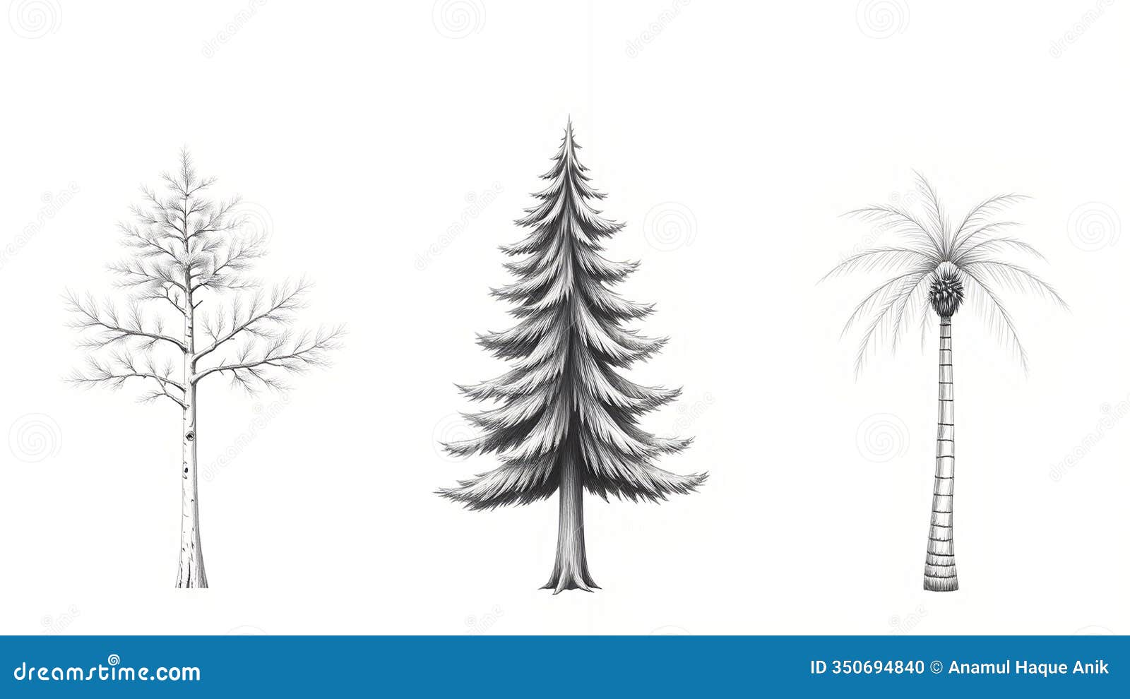 A Handdrawn Illustration of Three Different Trees Stock Illustration ...