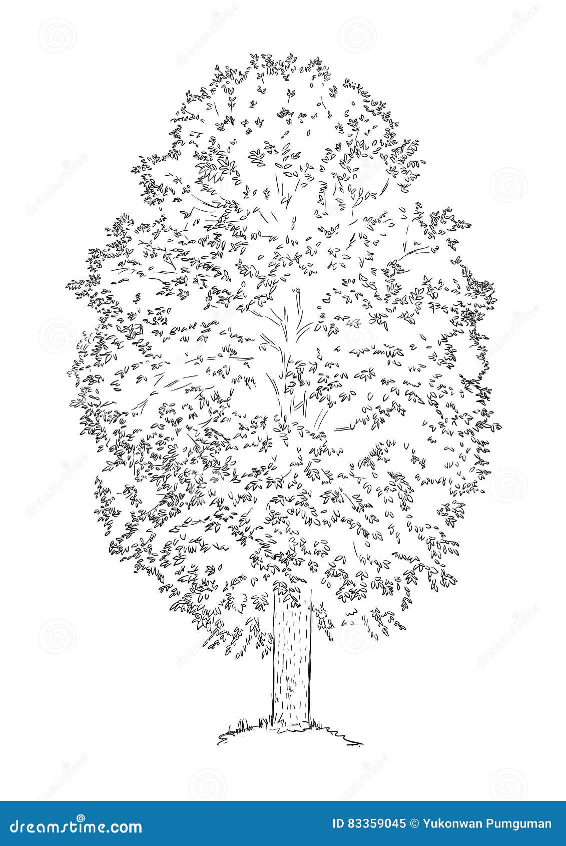 Hand Drawn Illustration of Tree. Sketch of Botanical, Isolated Stock ...