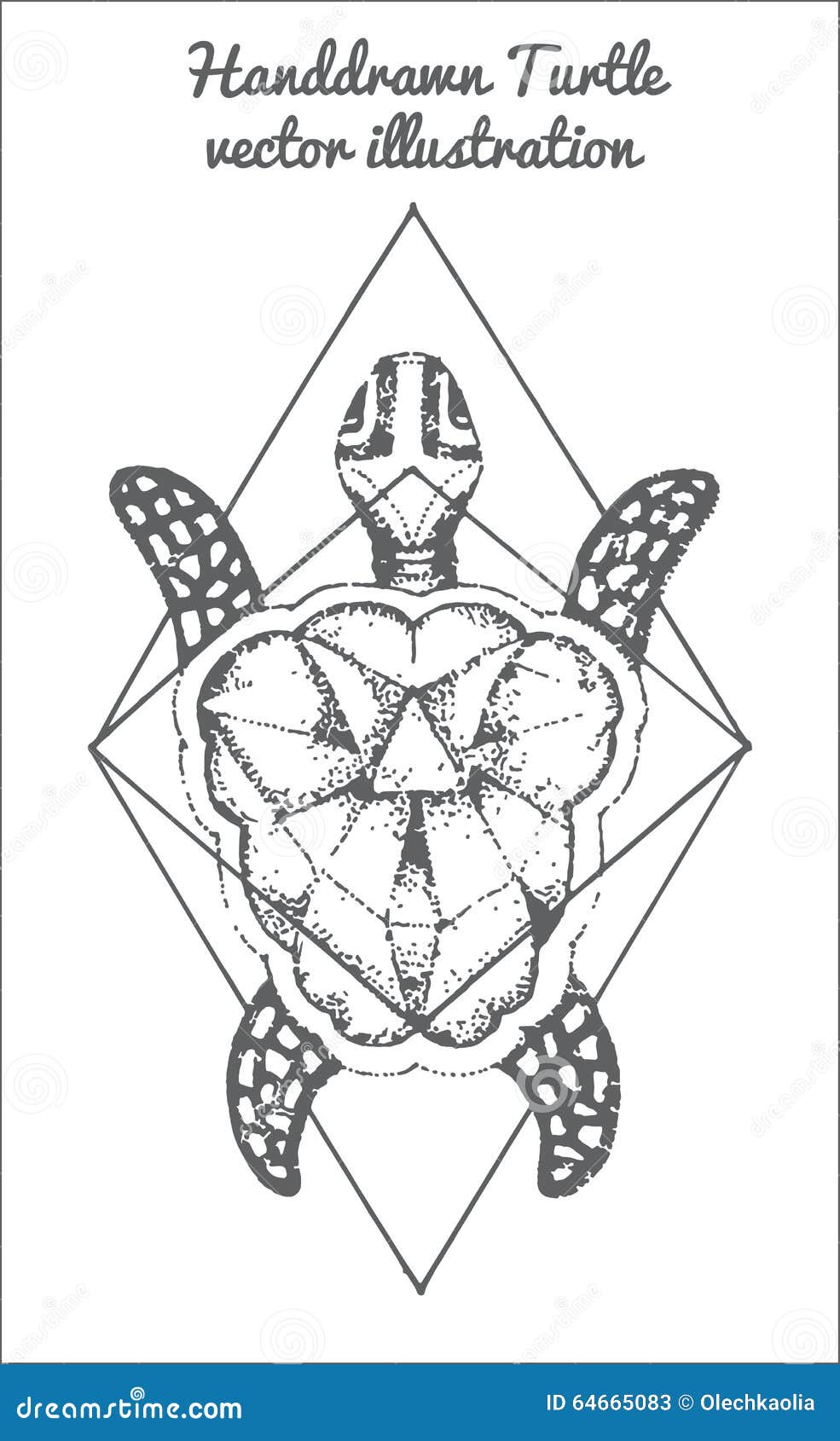 Hand Drawn Illustration of Turtle Stock Vector - Illustration of hand ...